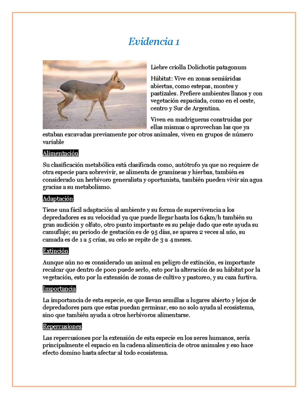 Evidencia 1 - Evidencia 1 Liebre criolla Dolichotis patagonum Hábitat ...