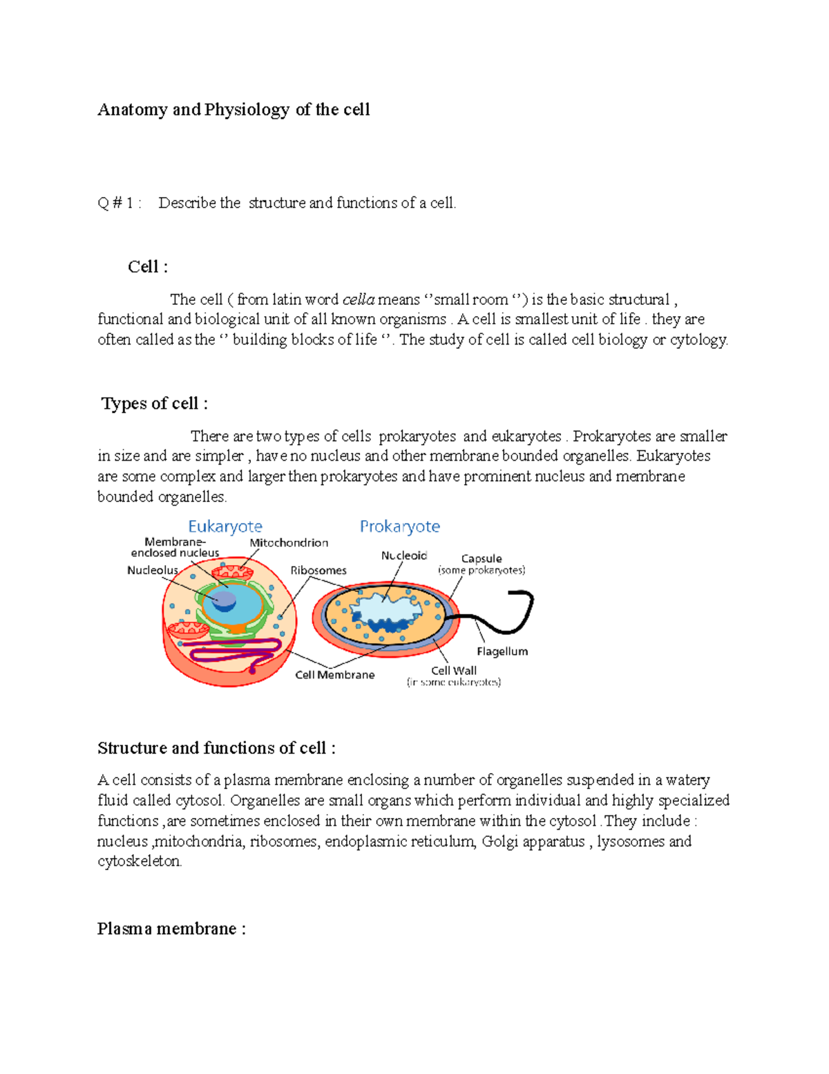 Anatomy and physiology of the cell - Cell : The cell ( from latin word ...