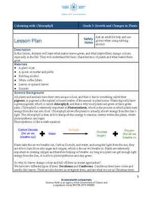 Lesson Plan 6 Designing a Prototype - Lesson Plan: Designing a ...