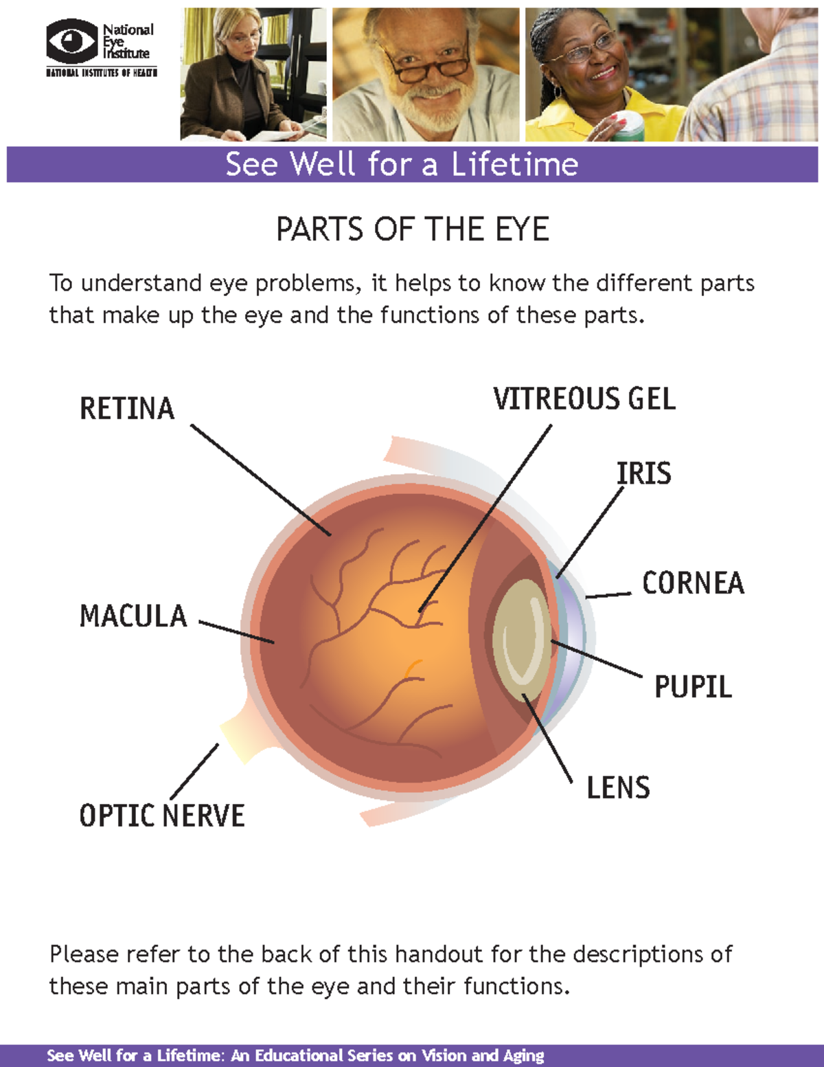 Eye Handout 508 - Eyes - Epp 4 1st Quarter ict Lesson Plan - See Well ...