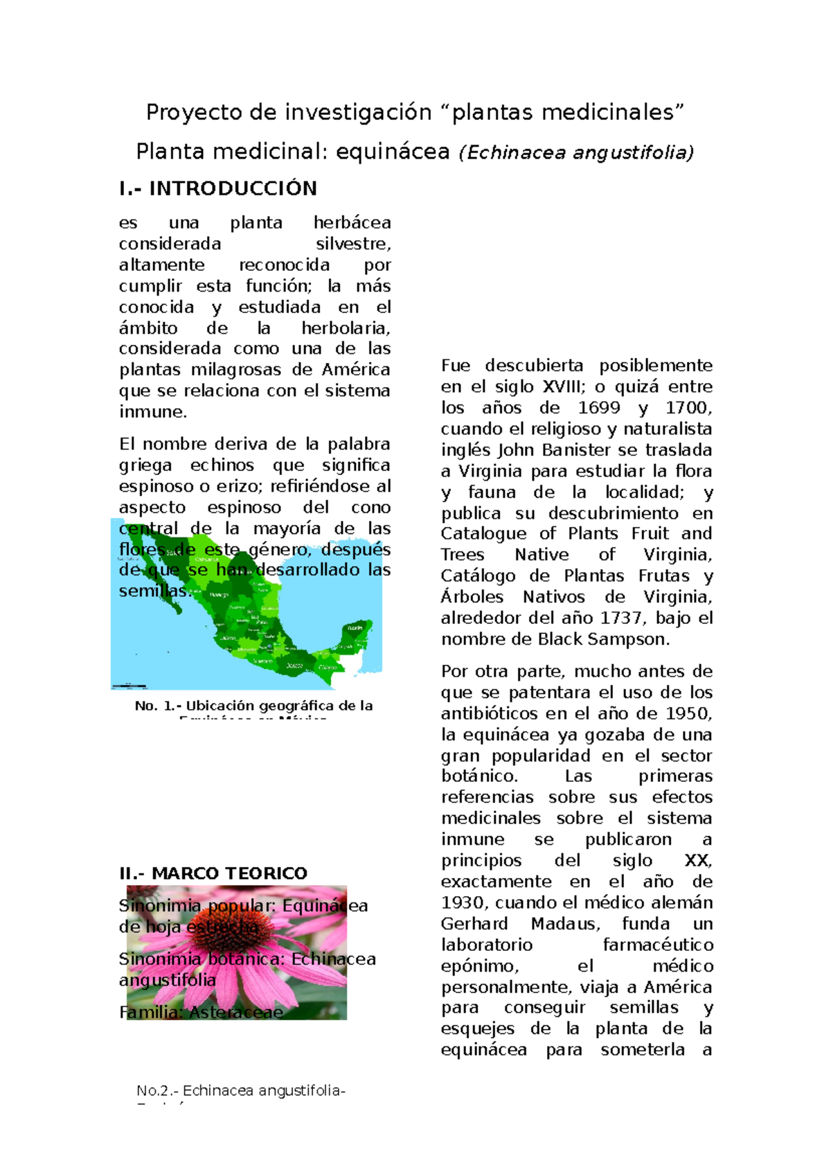 Proyecto de investigación sobre planta medicinal - Proyecto de ...