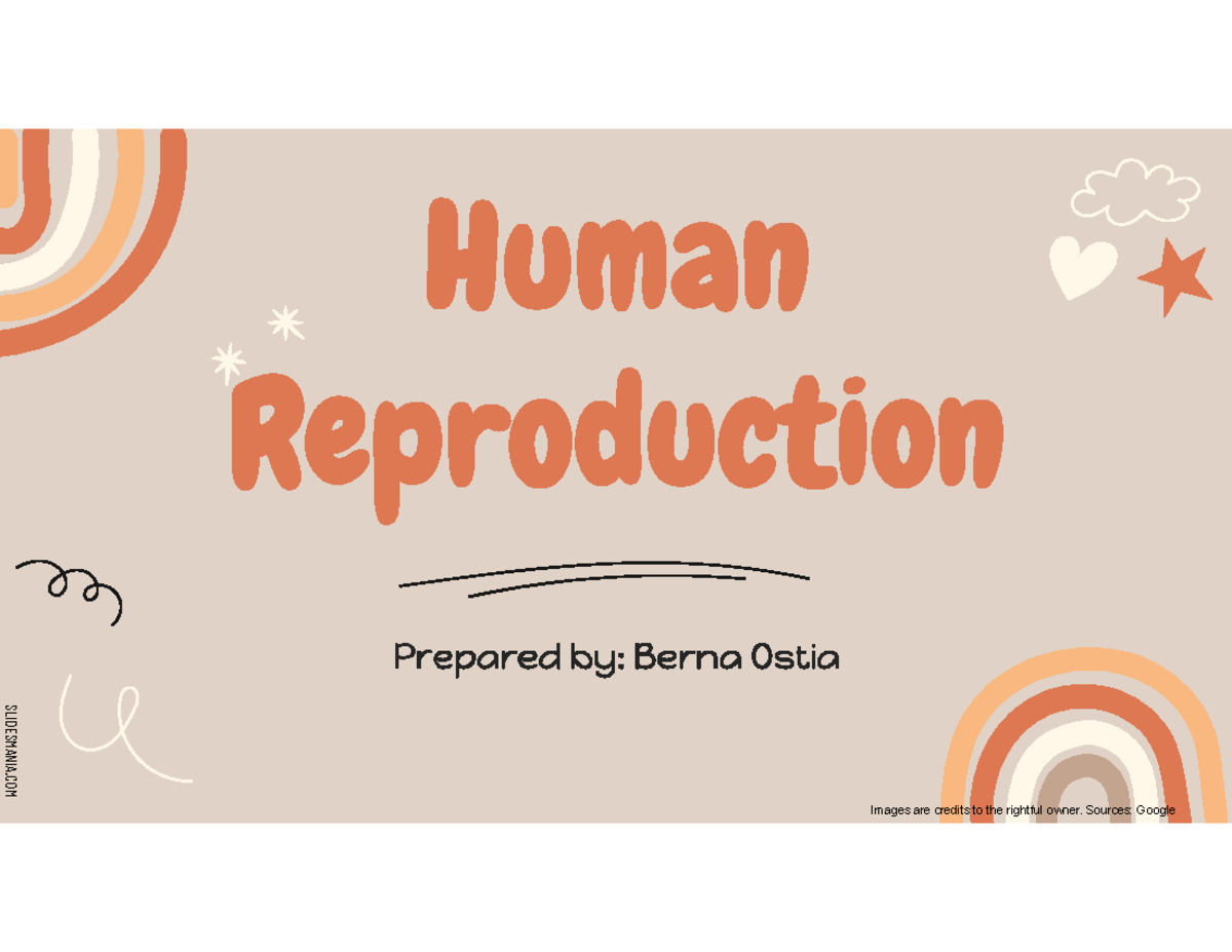 Human- Reproduction - ddfgcg - SLIDESMANIA Prepared by: Berna Ostia ...