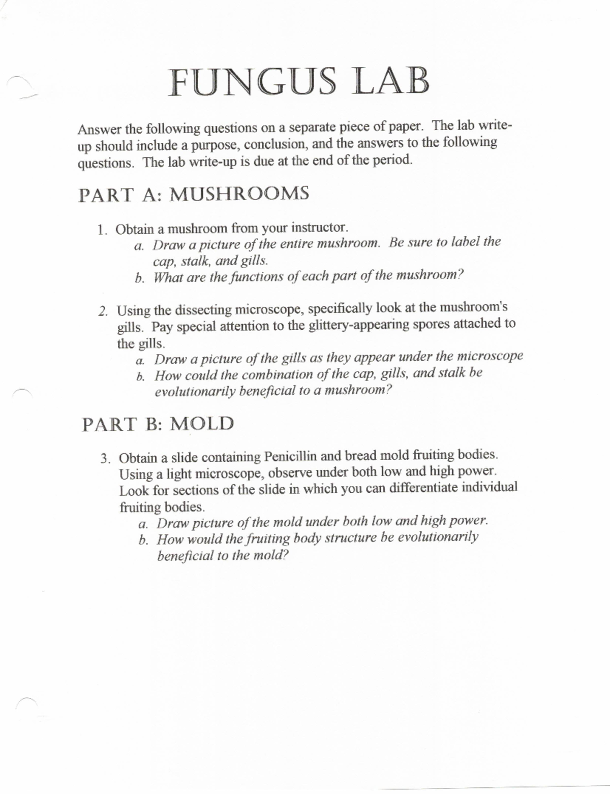 Fungus Lab Handout - Studocu