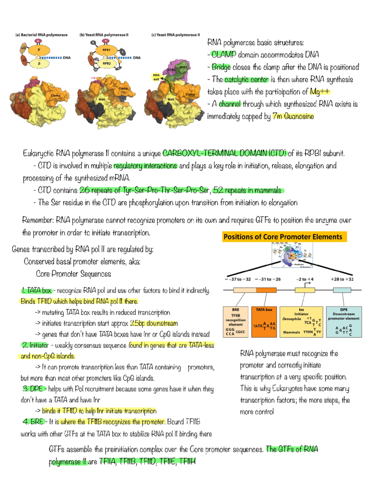 2 - summary - Mcb2050 - Studocu