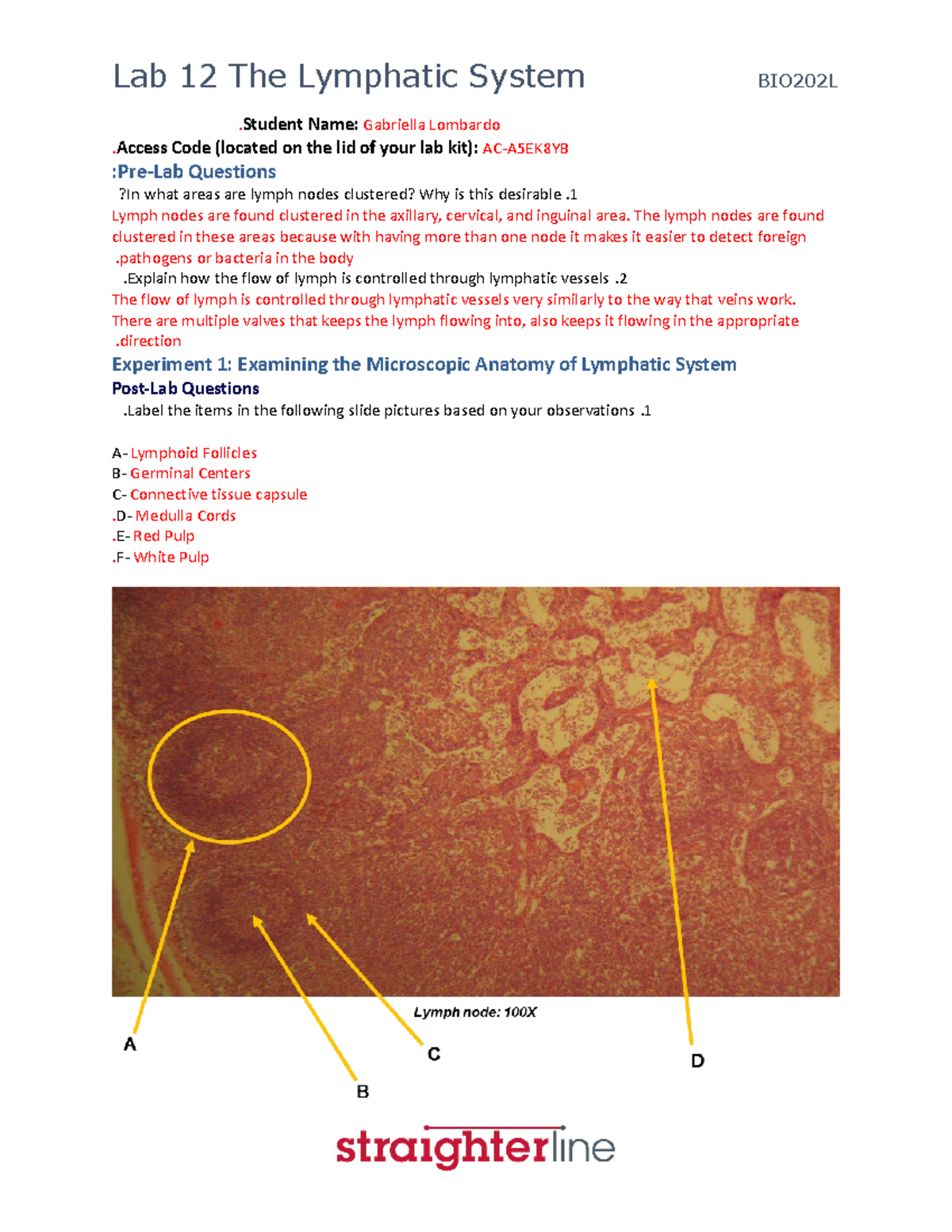 Lab 12 Lombardo WS - NOTES - . Student Name: Gabriella Lombardo ...