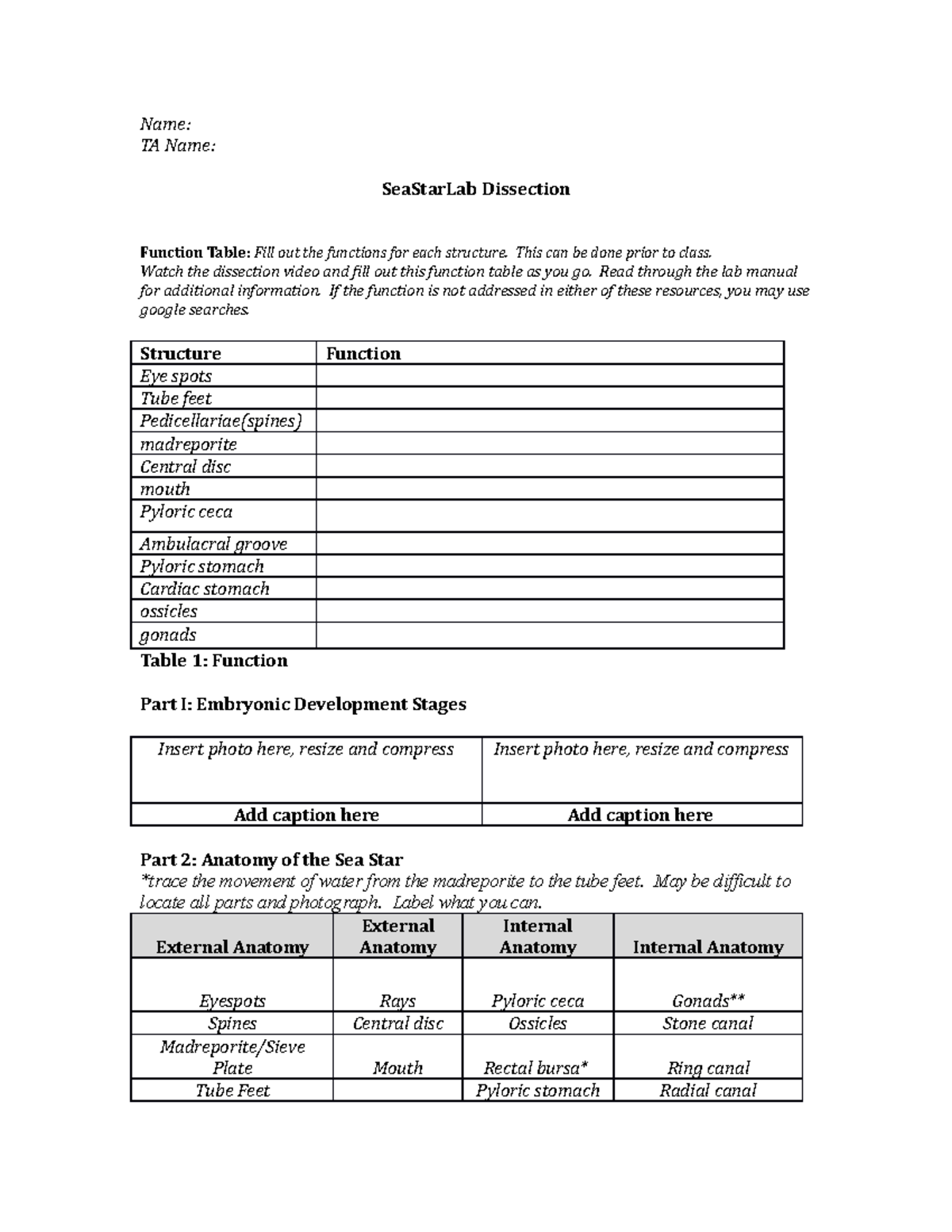 9 Lab Worksheet - assignment - Name: TA Name: SeaStarLab Dissection ...