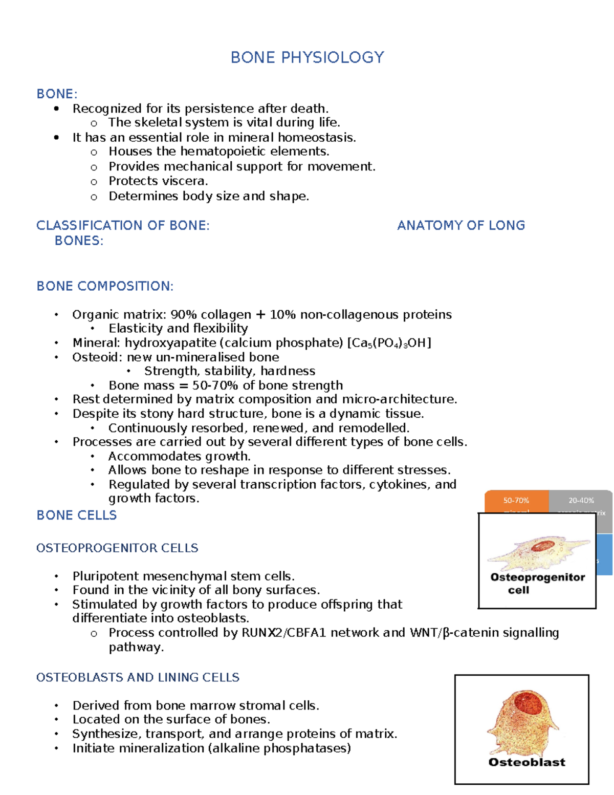 BONE Physiology - BONE PHYSIOLOGY BONE: Recognized for its persistence ...