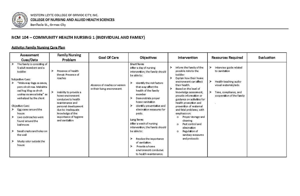 Family Nursing Care Plan BSN-2-SEC-3 - NCM 104 – COMMUNITY HEALTH ...