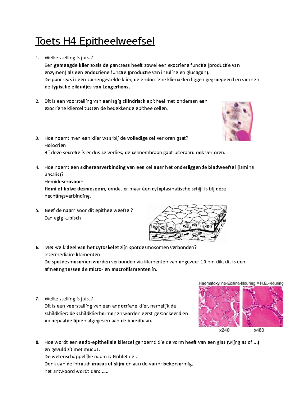 Toets H4 Epitheelweefsel - Toets H4 Epitheelweefsel Welke stelling is ...