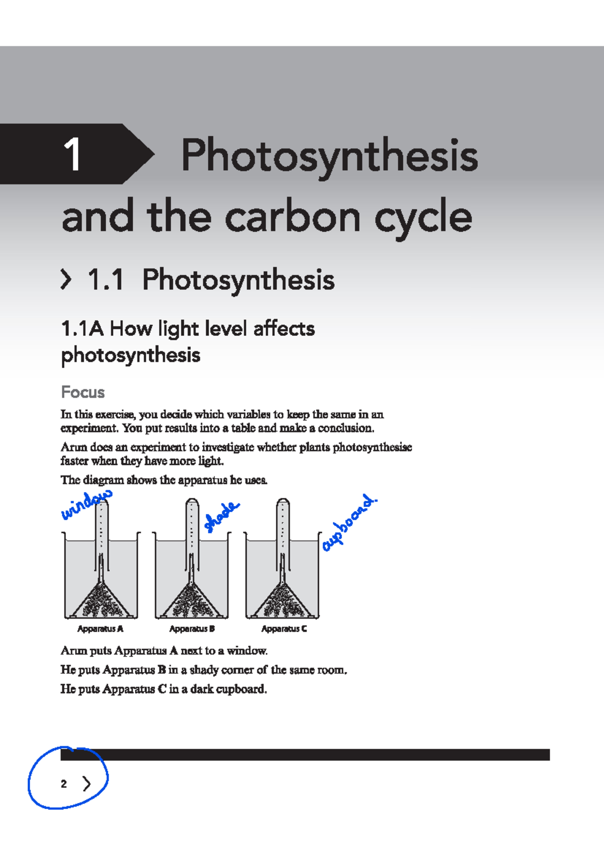 Unit 1- Photosynthesis and the carbon cycle - You put results into a ...
