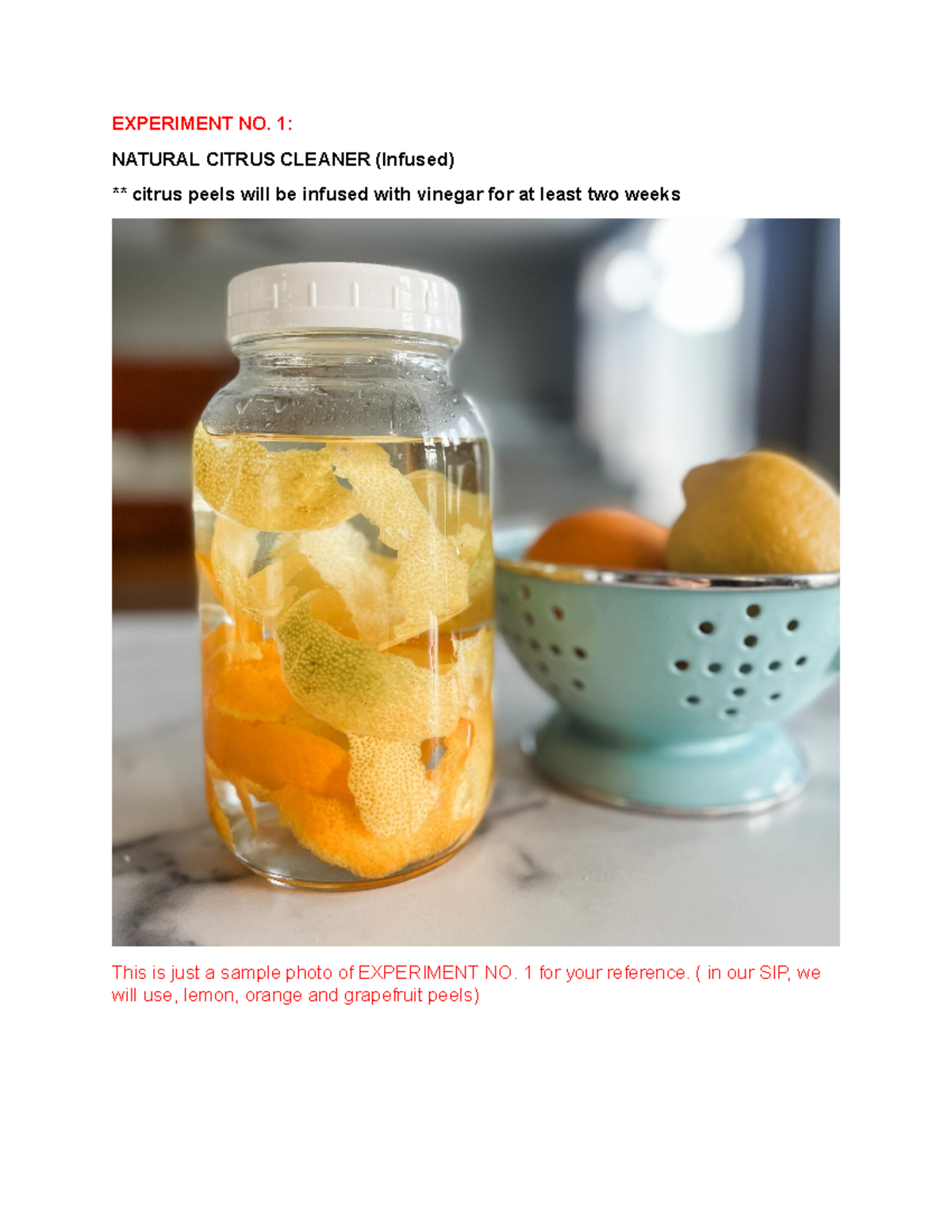 Methodology SIP Natural Citrus Cleaner 111724 - EXPERIMENT NO. 1 ...
