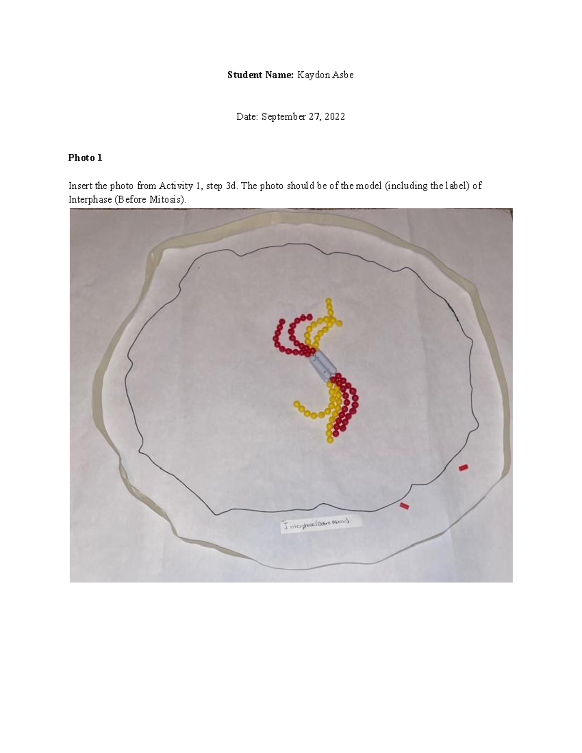 Mitosis and Meiosis Chromosome Simulation - Student Name: Kaydon Asbe ...