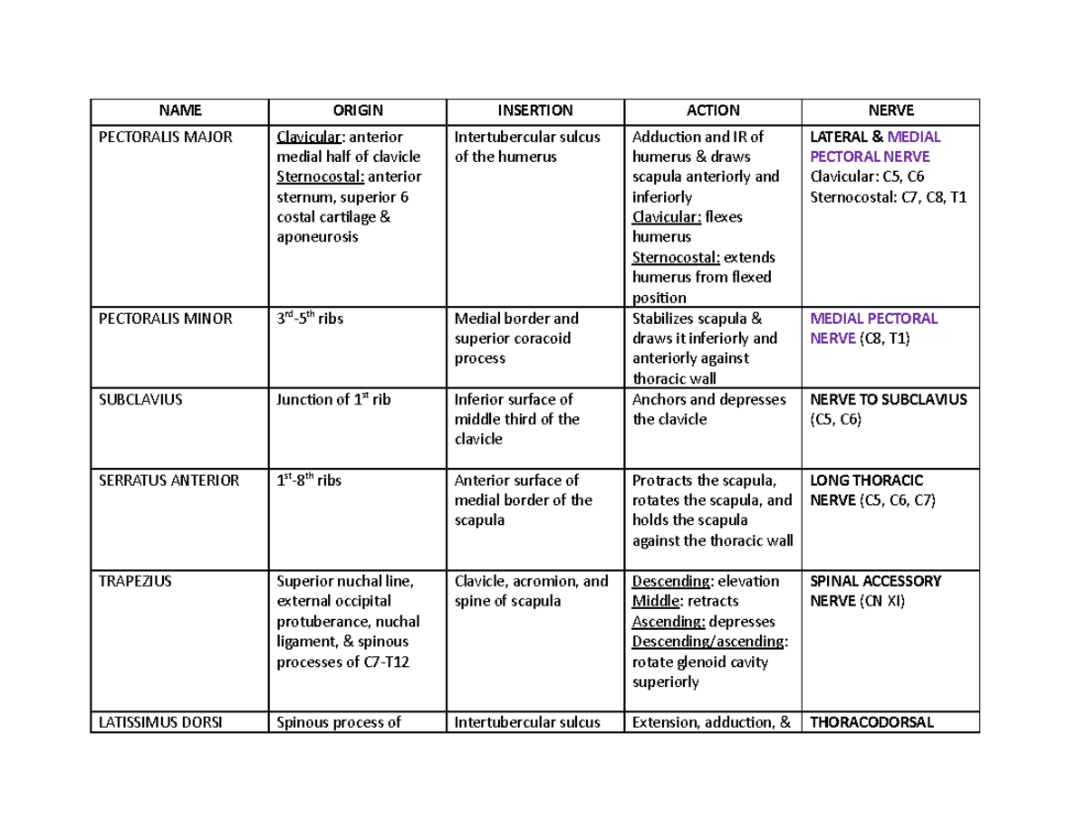 UE Muscles - NAME ORIGIN INSERTION ACTION NERVE Adduction and IR of ...