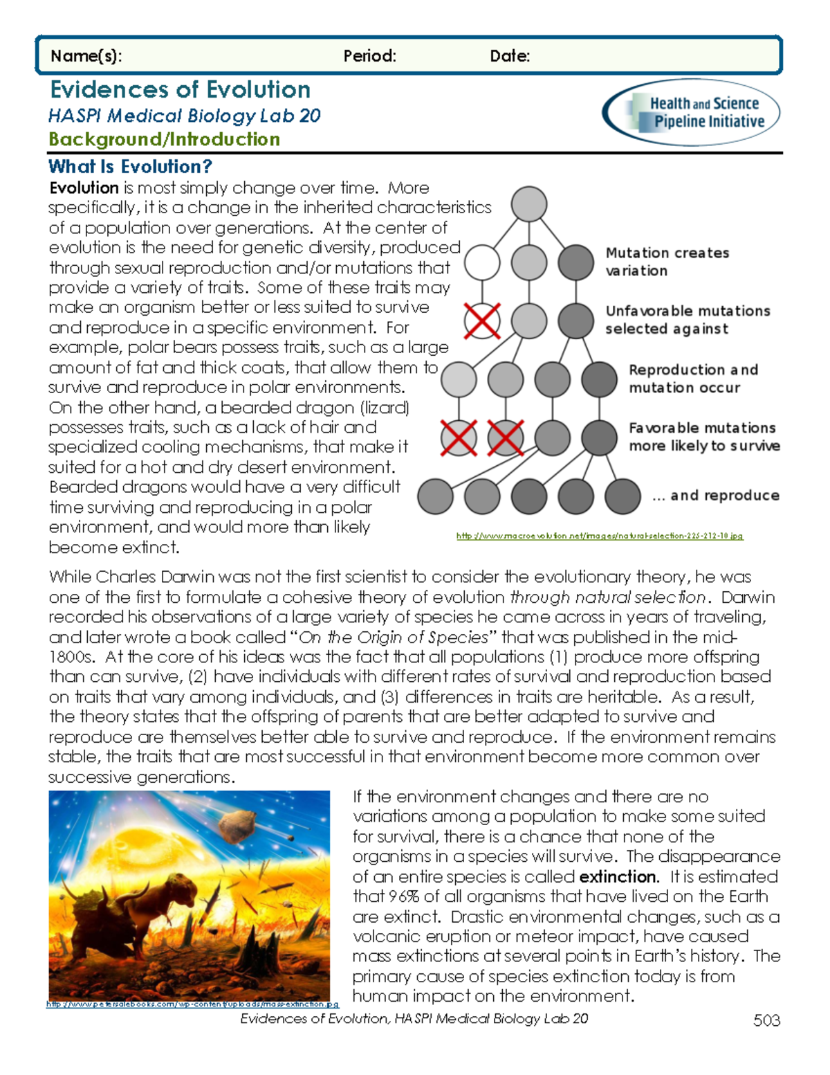 Kami Export - Robert Aguilera - 20a evolution(1) - Evidences of ...