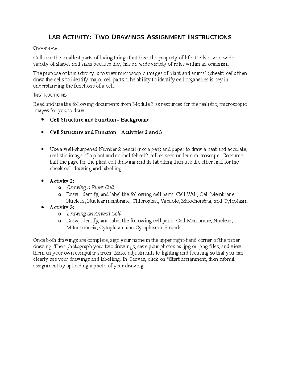 Lab Activity Two Drawings Assignment Instructions - LAB ACTIVITY: TWO ...