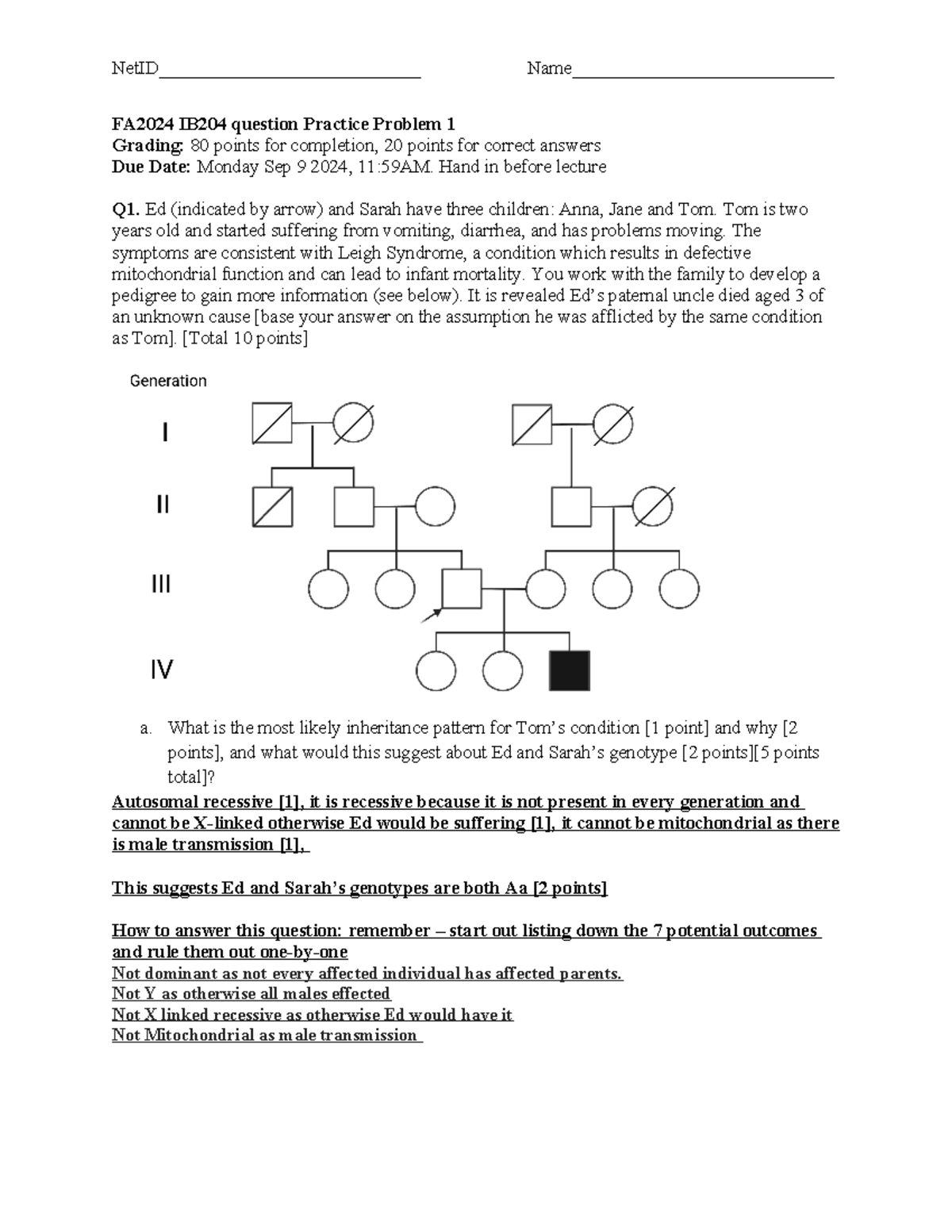 Ib204-practice-problem-1-answers - NetID____________________________ - Studocu