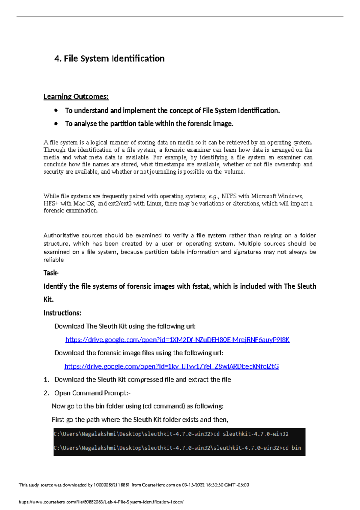 Lab 4 File System Identification 1 - 4. File System Identification ...