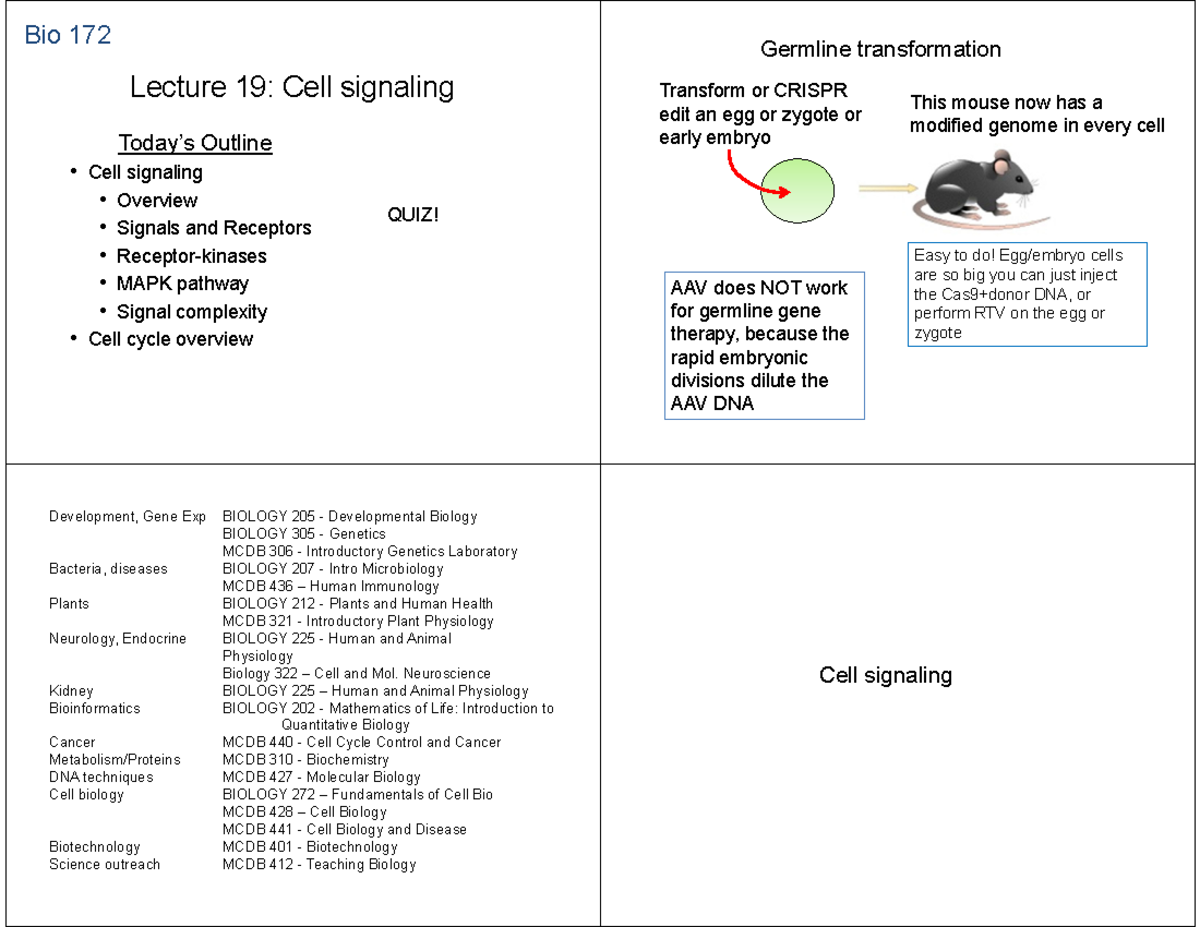 Lecture 19: Cell Signaling - Today’s Outline Cell signaling Overview ...