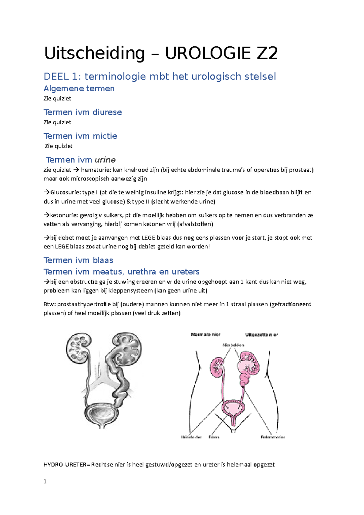 Uitscheiding Z2 urologisch stelsel D1 &2 - Uitscheiding – UROLOGIE Z ...