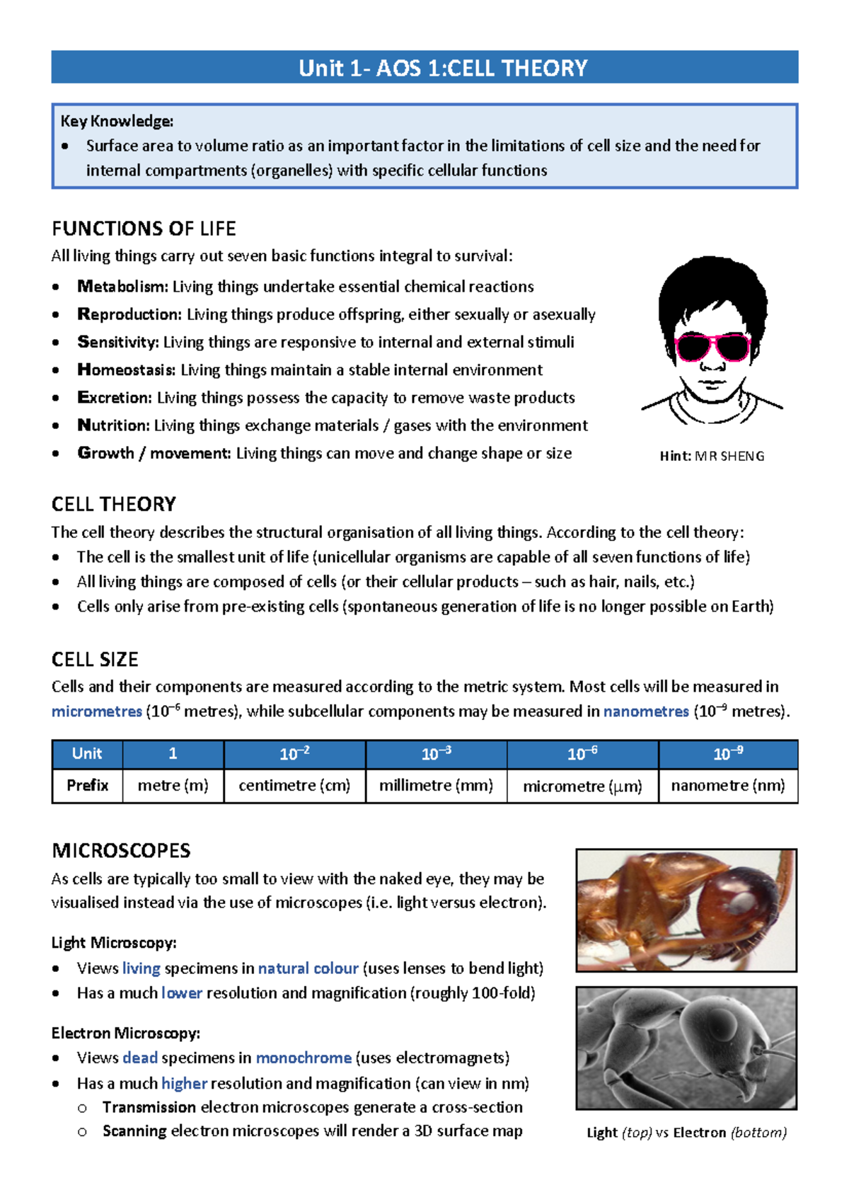 1.0 Cell Theory- Unit 1 AOS 1 - Unit 1- AOS 1:CELL THEORY Key Knowledge ...