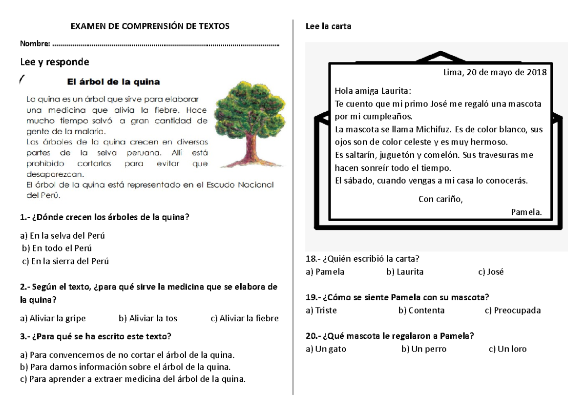 Evaluacion Comprensión DE Textos - EXAMEN DE COMPRENSIÓN DE TEXTOS ...