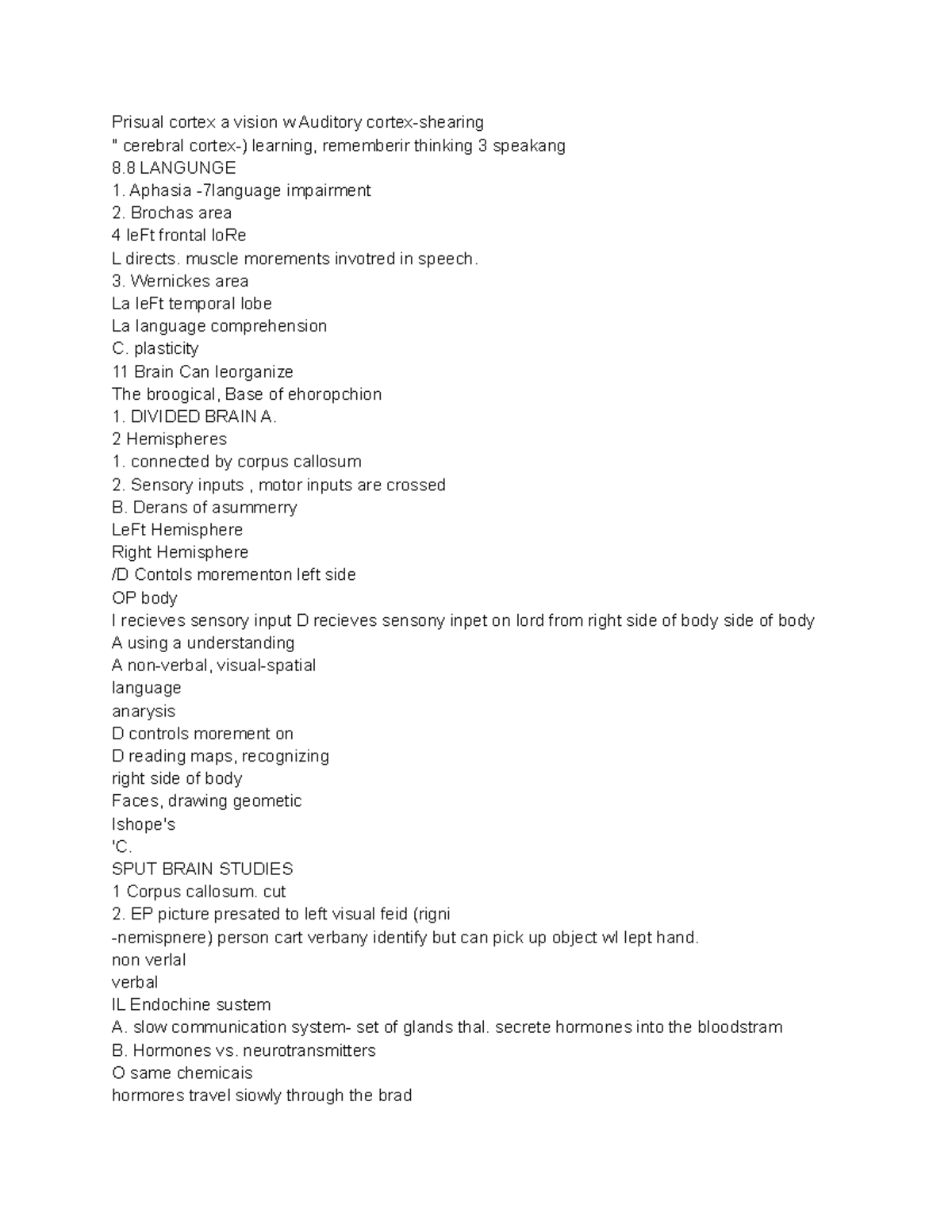 Visual Cortex Psych Lecture Notes From Class From Guided Notes
