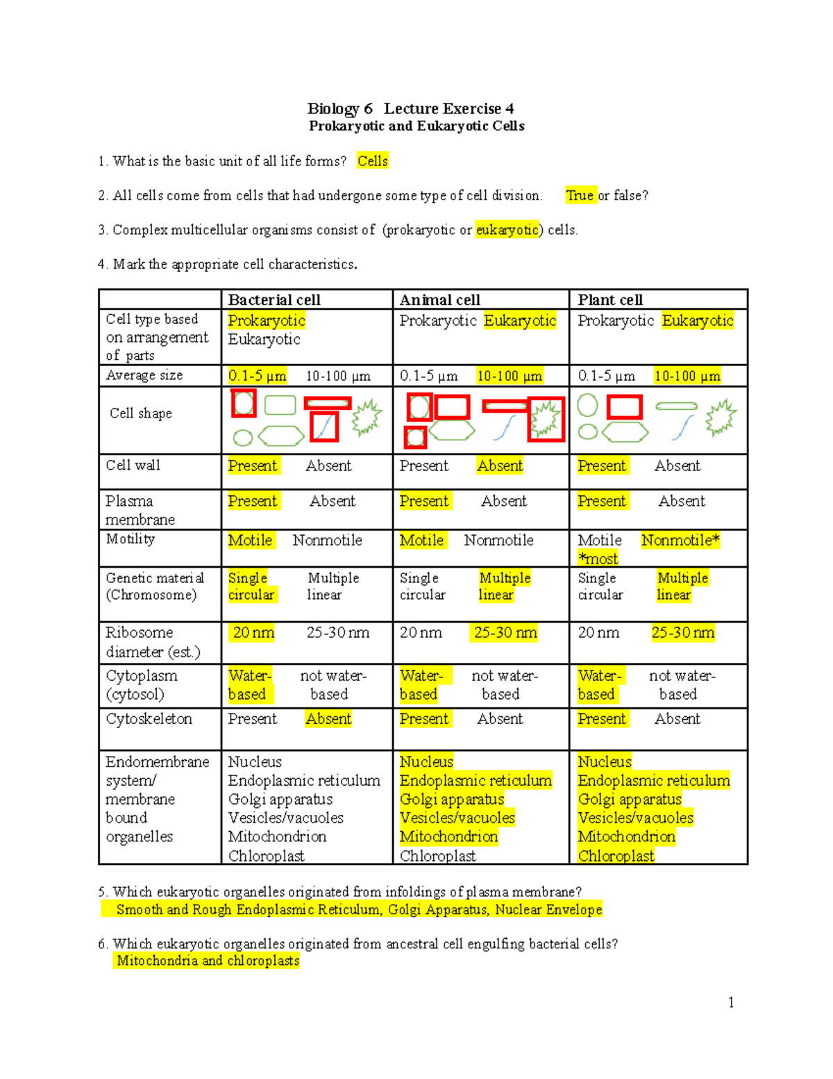 Bio 6 Lecture Exercise 4-4 - Biology 6 Lecture Exercise 4 Prokaryotic and Eukaryotic Cells What ...