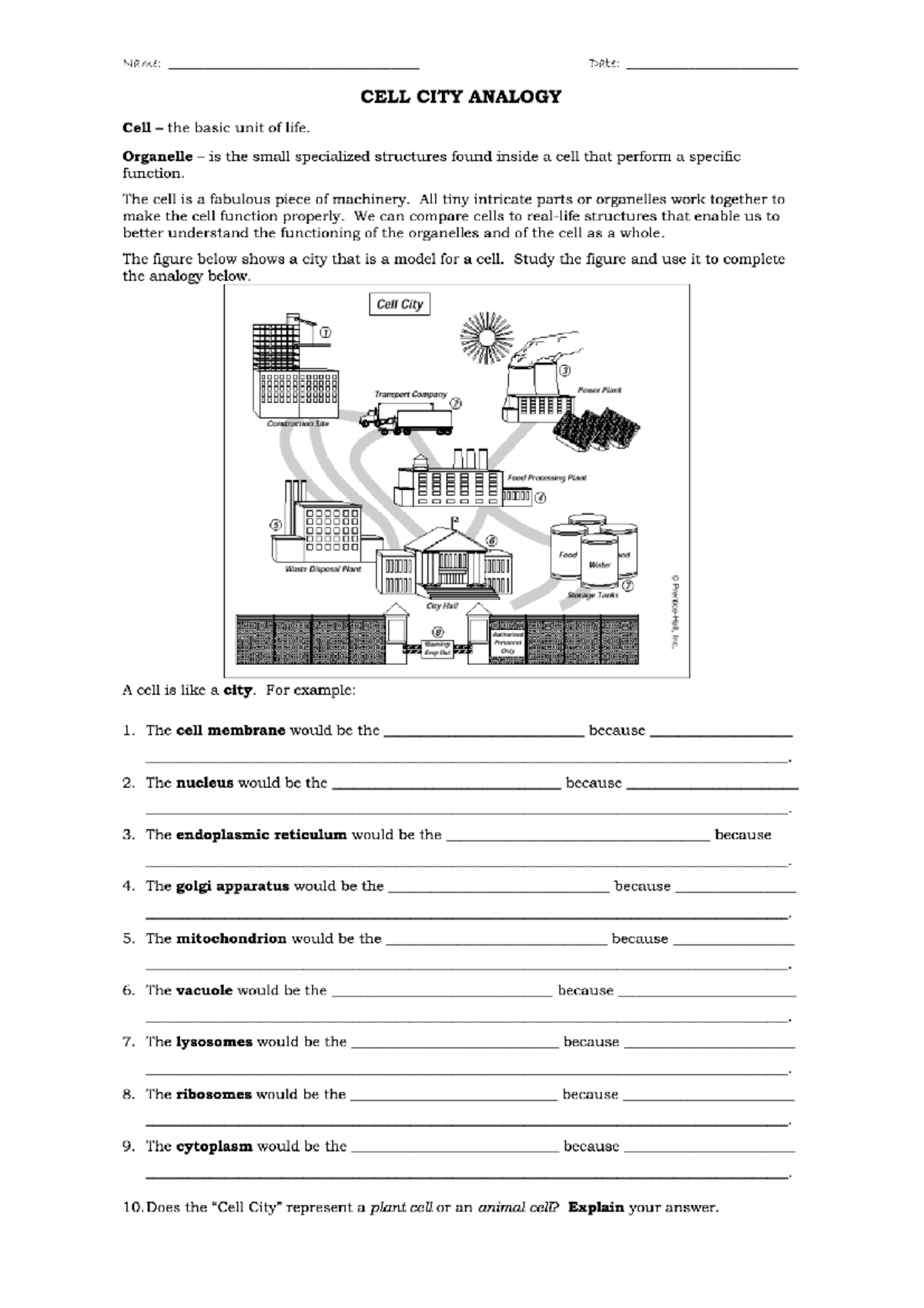 7)+Cell+City+Analogy - Studocu