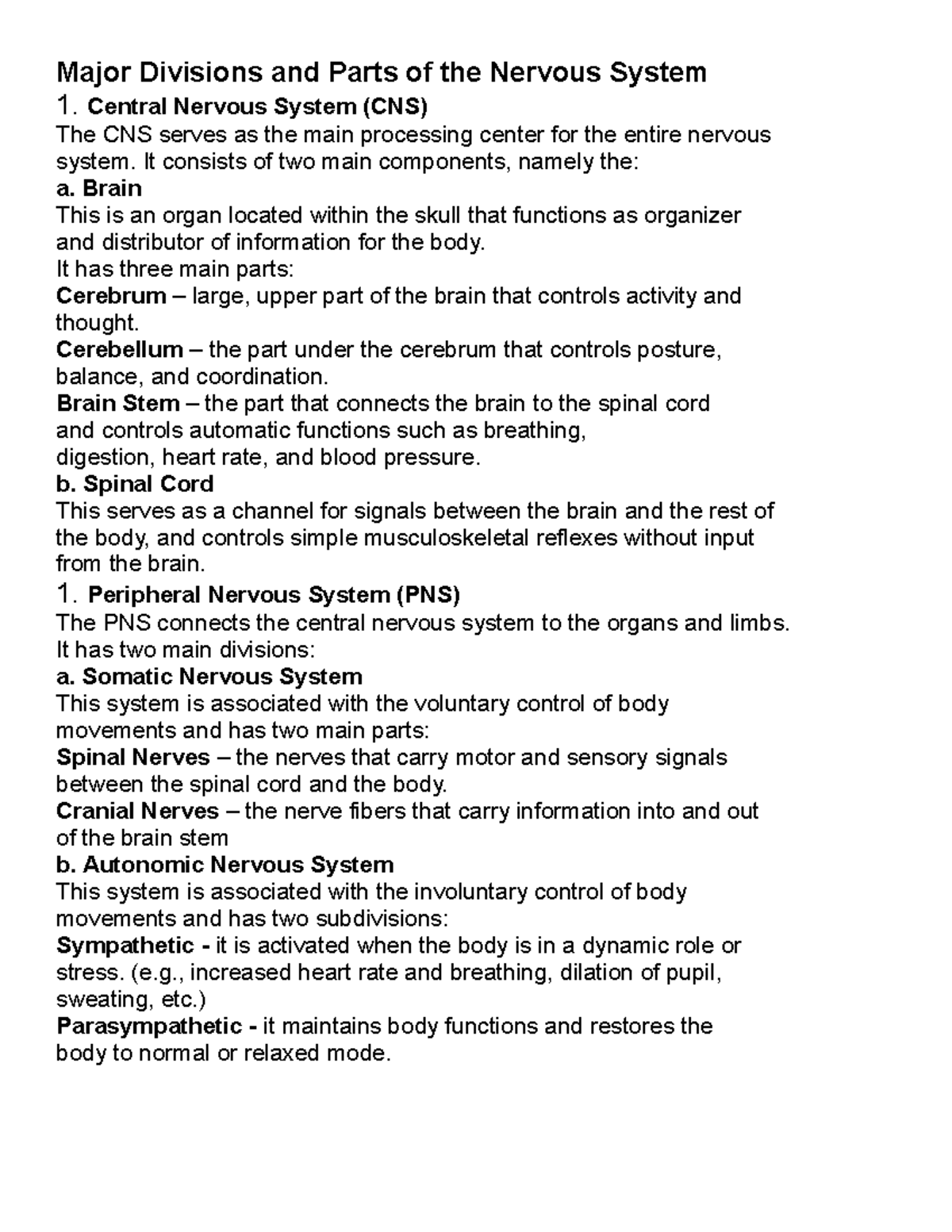 Anatomy of the Nervous System Review - Major Divisions and Parts of the ...