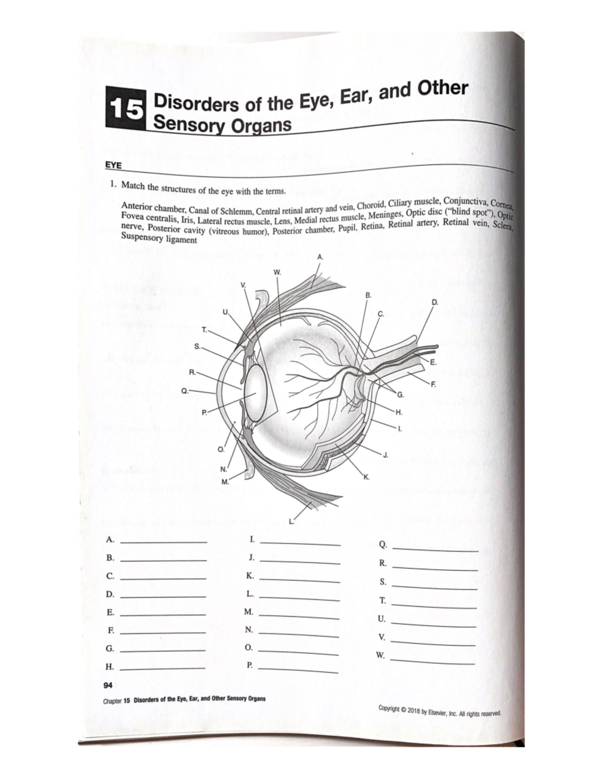 Sensory Organs questions - NURS1420P - Studocu