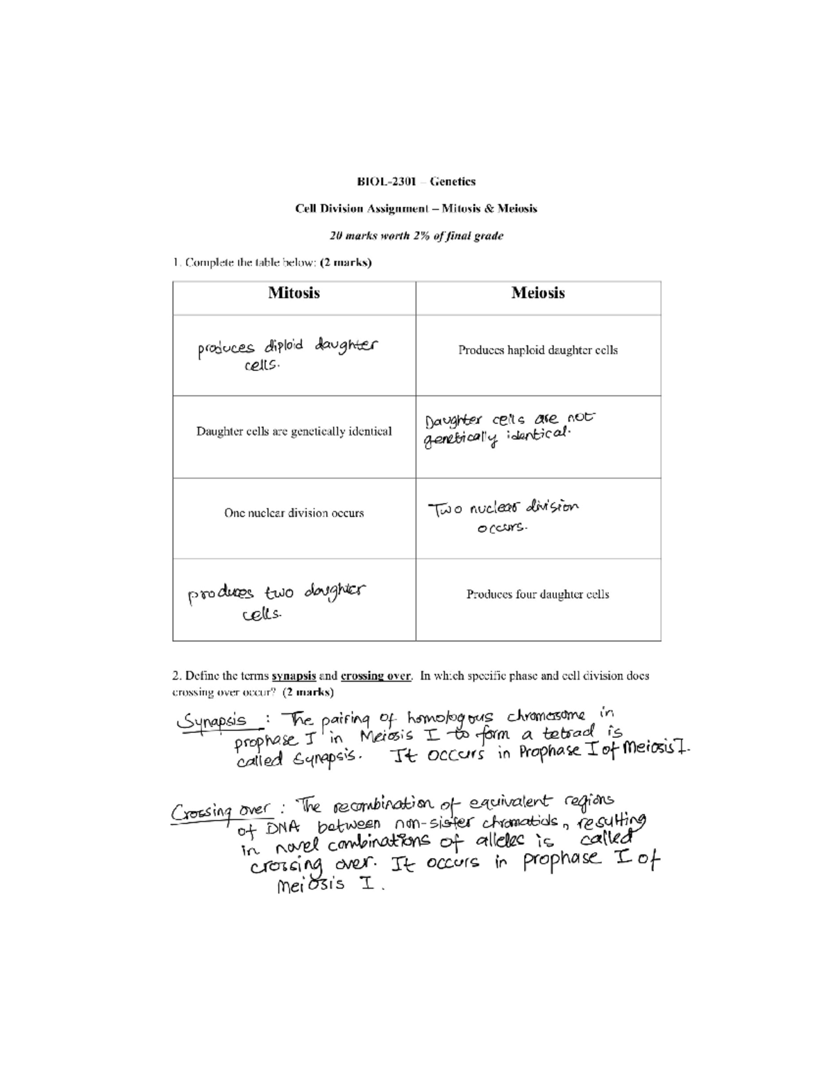 Cell division assignment - BIOL-2301 - Studocu