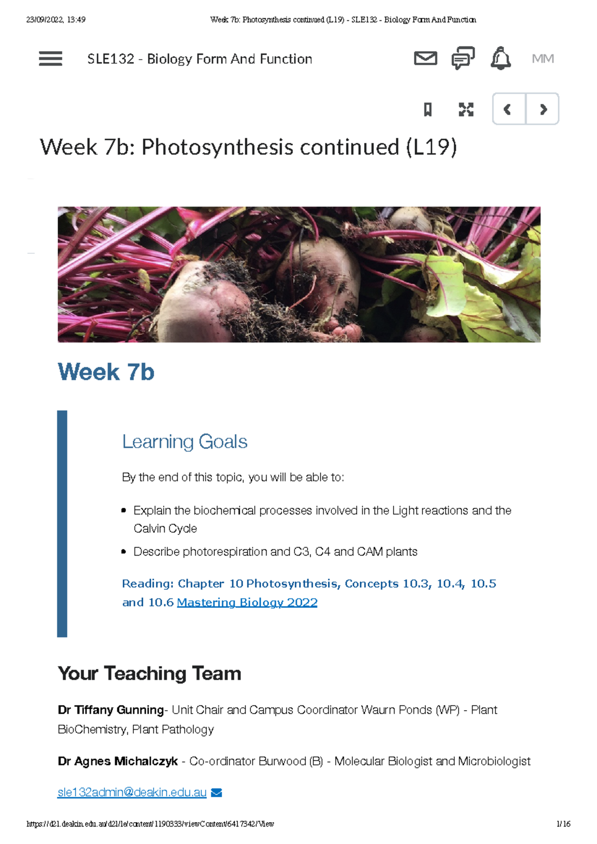 Week 7b Photosynthesis continued (L19) - SLE132 - Biology Form And ...