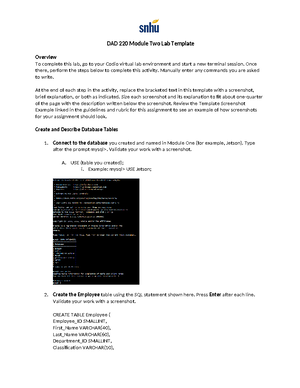 DAD 220 Module Four Lab Template - DAD 220 Module Four Lab Template ...