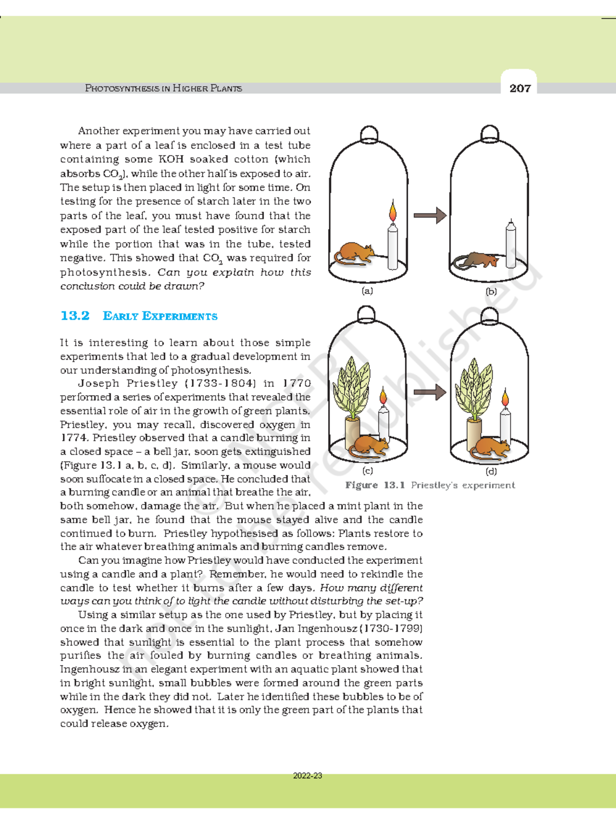 Photosynthesis IN Higher Plants - PHOTOSYNTHESIS IN HIGHER PLANTS 207 ...