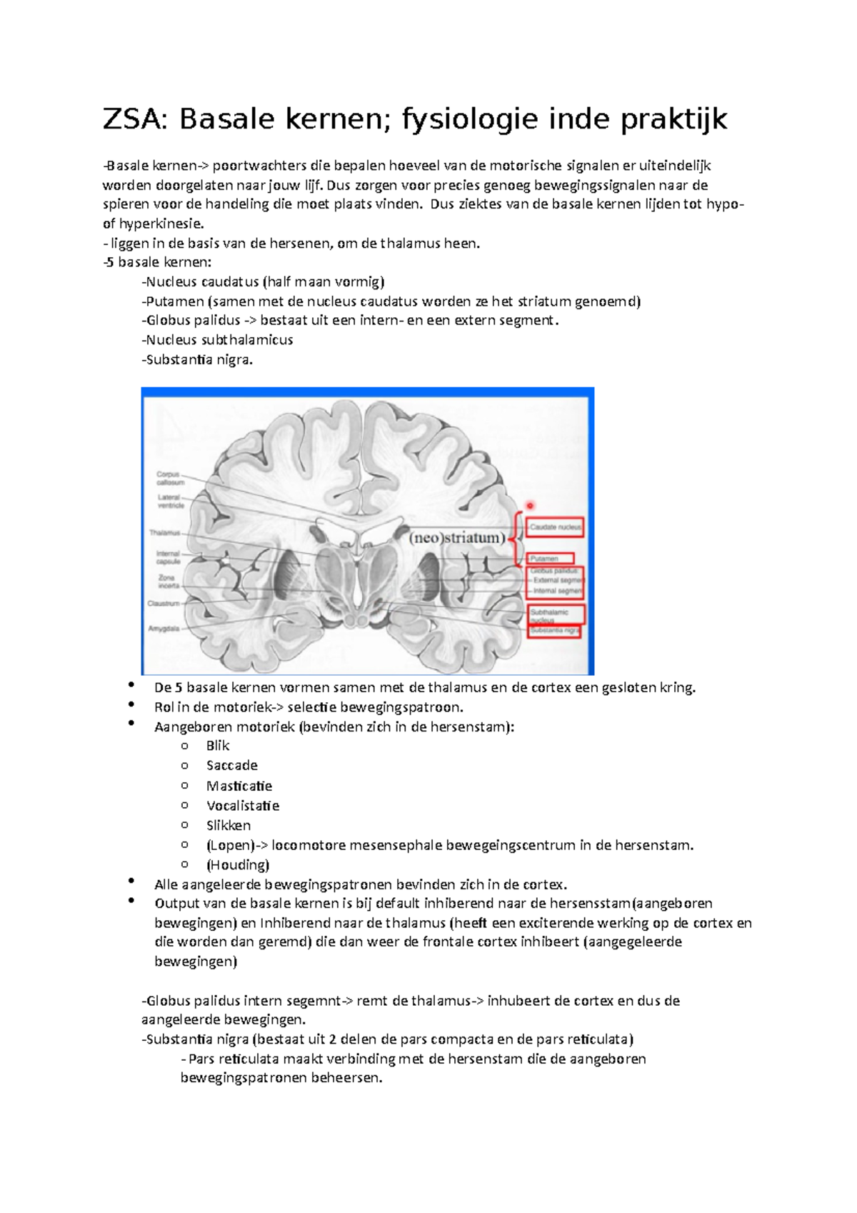 ZSA Basale kernen fysiologie in de praktijk - ZSA: Basale kernen ...