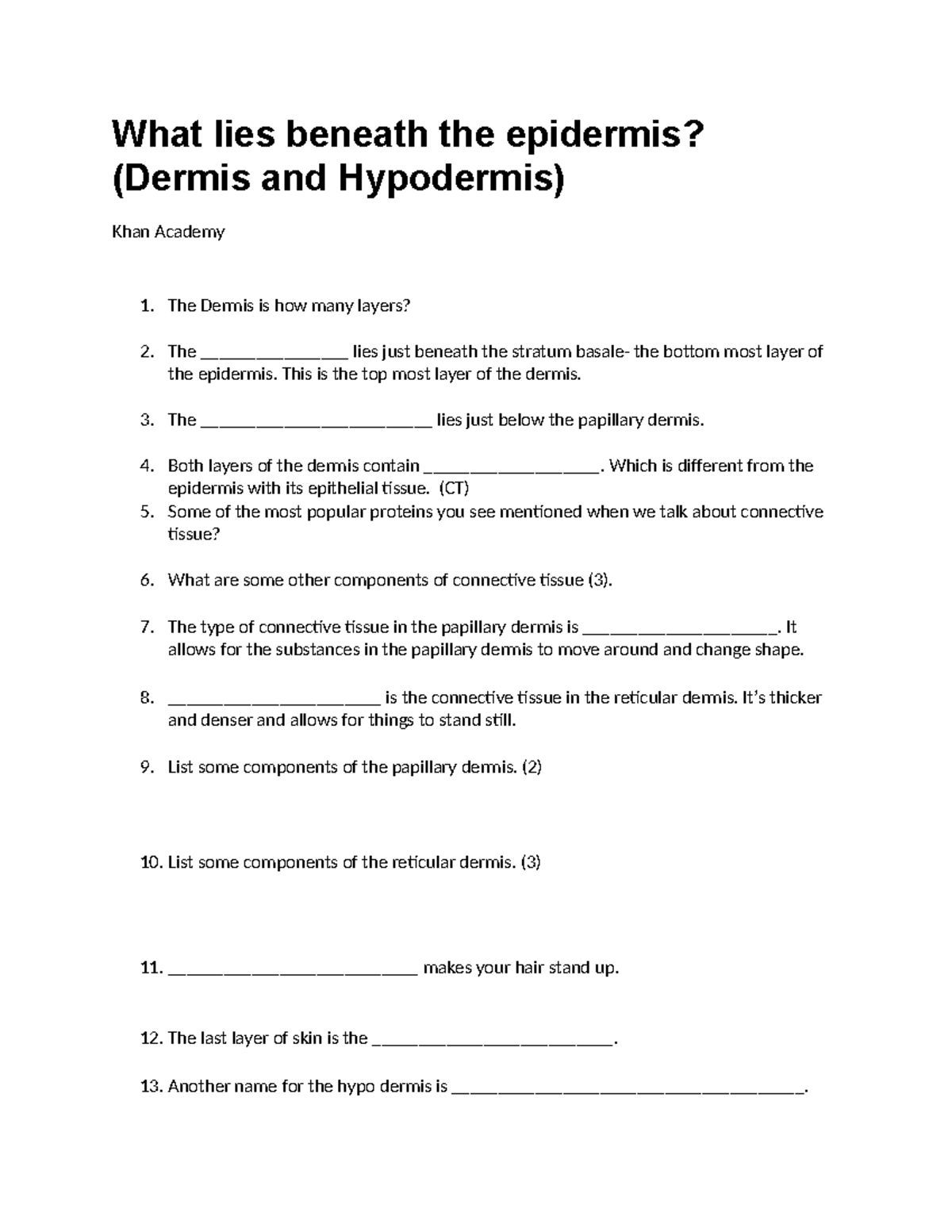 What lies beneath the epidermis - What lies beneath the epidermis ...