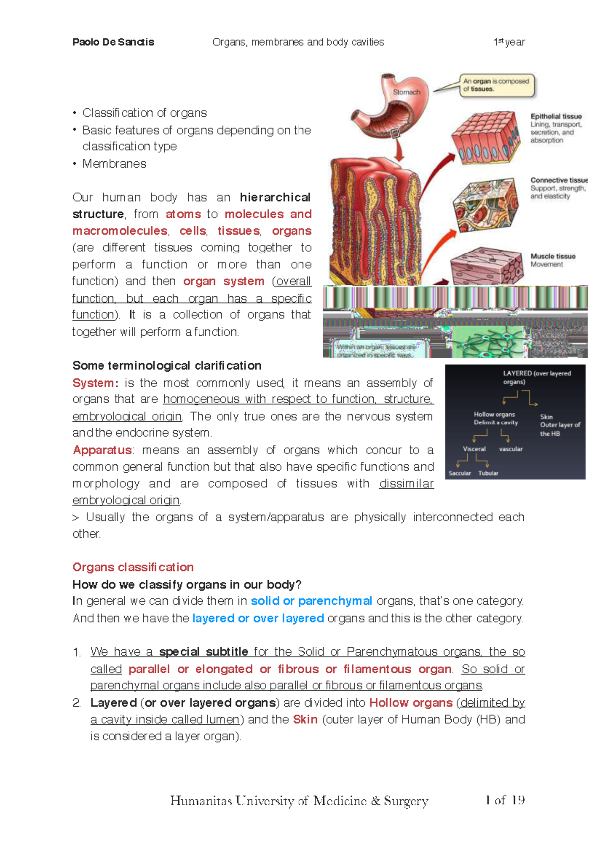 1Embryo-Organs, membranes and body cavities - Classification of organs ...