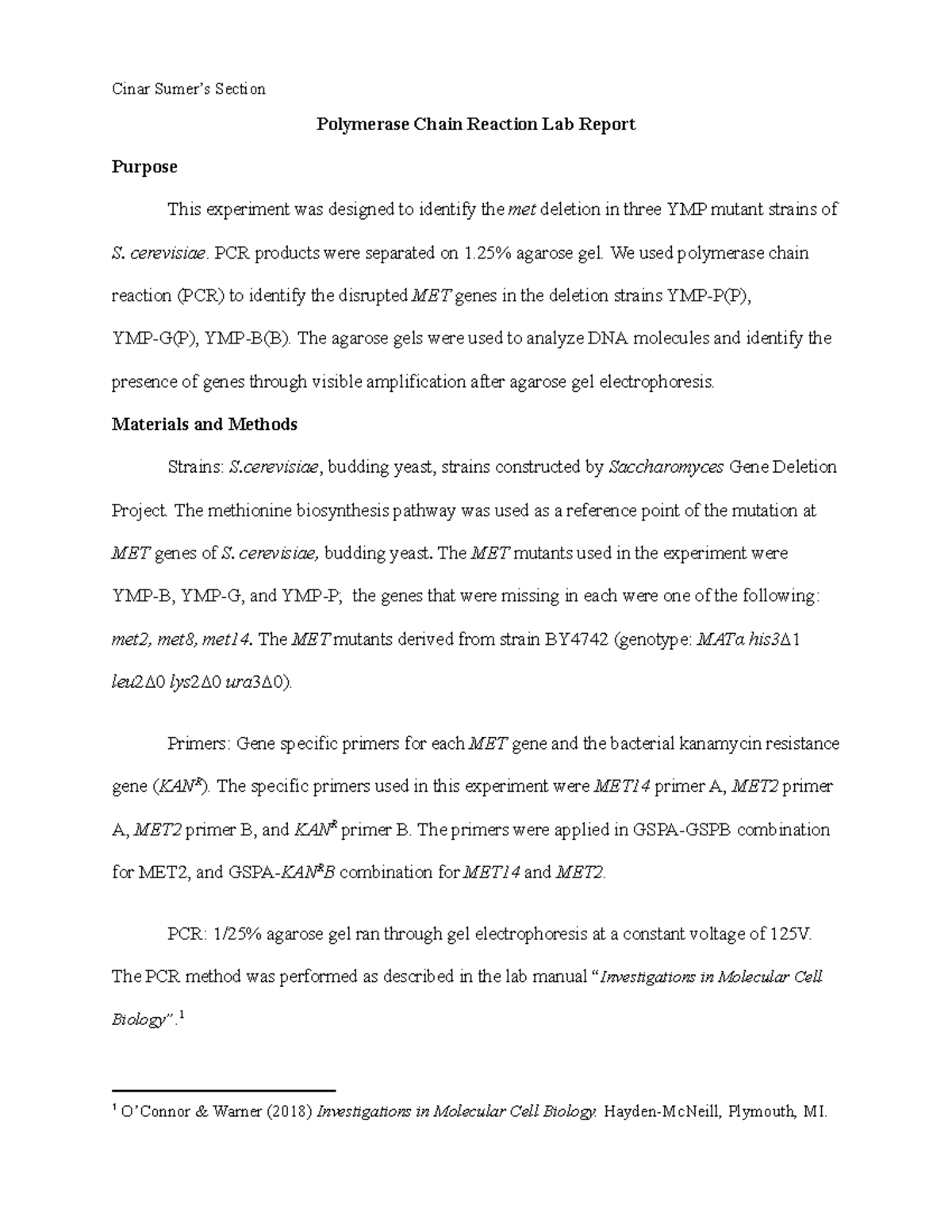 PCR report bio lab - Cinar Sumer’s Section Polymerase Chain Reaction ...