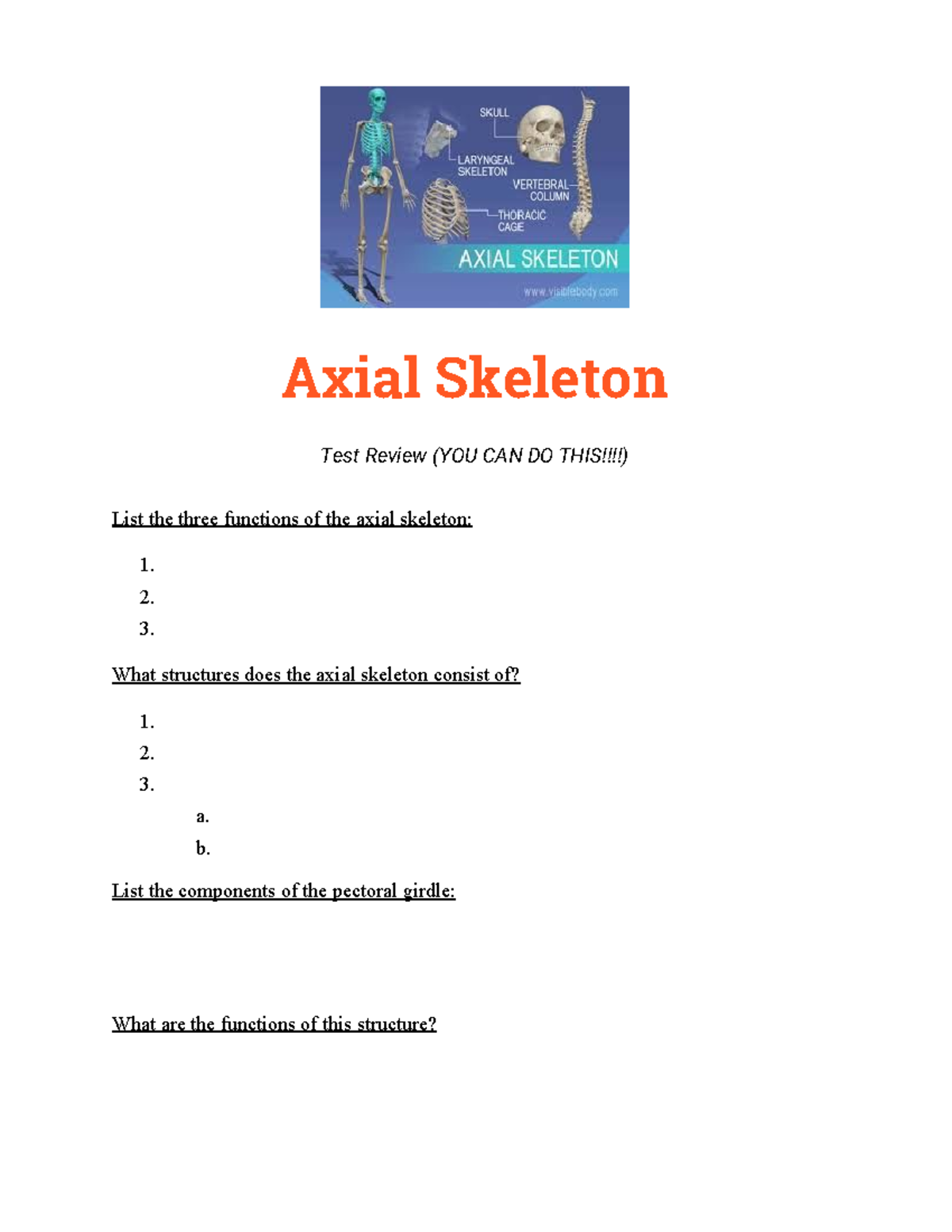 RP - Axial Skeleton - notes - Axial Skeleton Test Review (YOU CAN DO ...