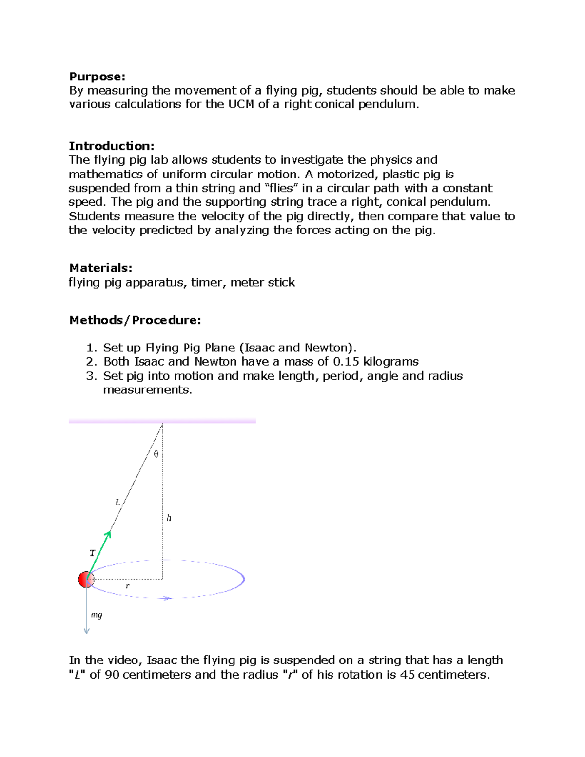 Lab-Flying Pig - Purpose: By measuring the movement of a flying pig ...