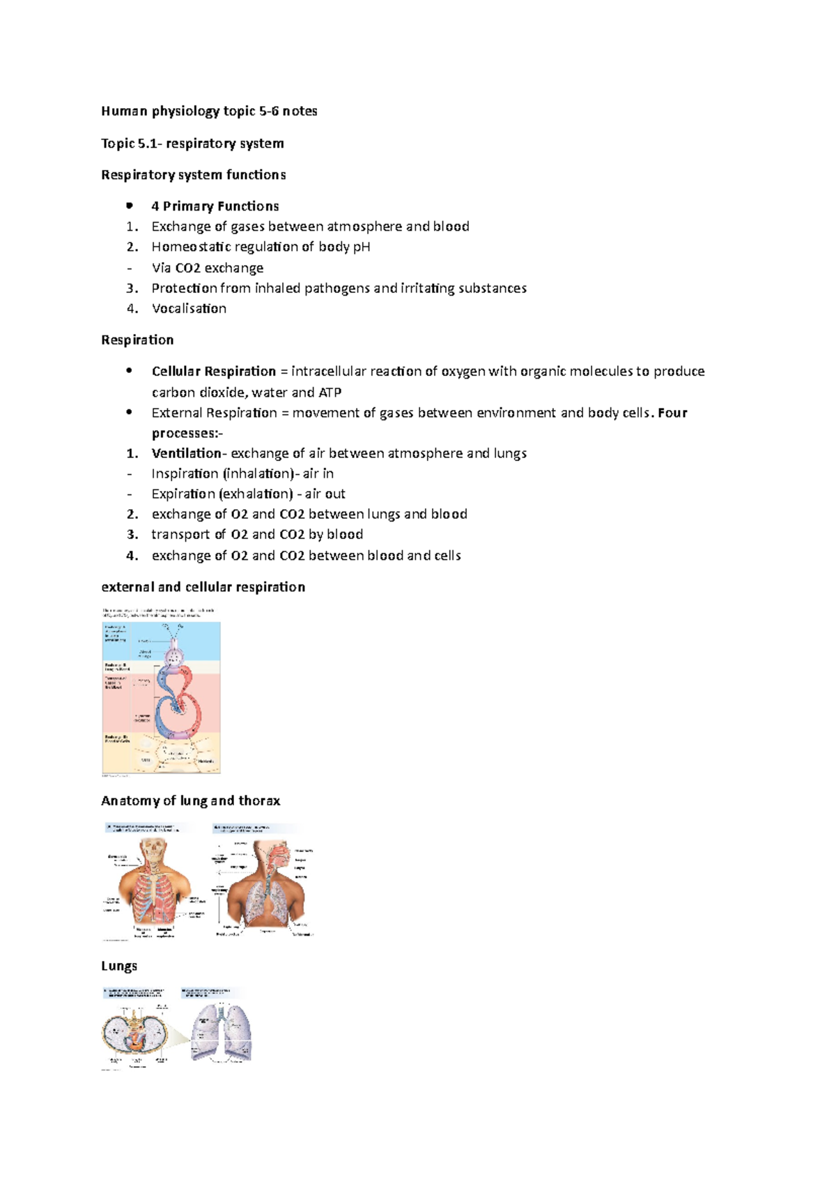 Human physiology topic 3,4,5,6, - Human physiology topic 5-6 notes ...