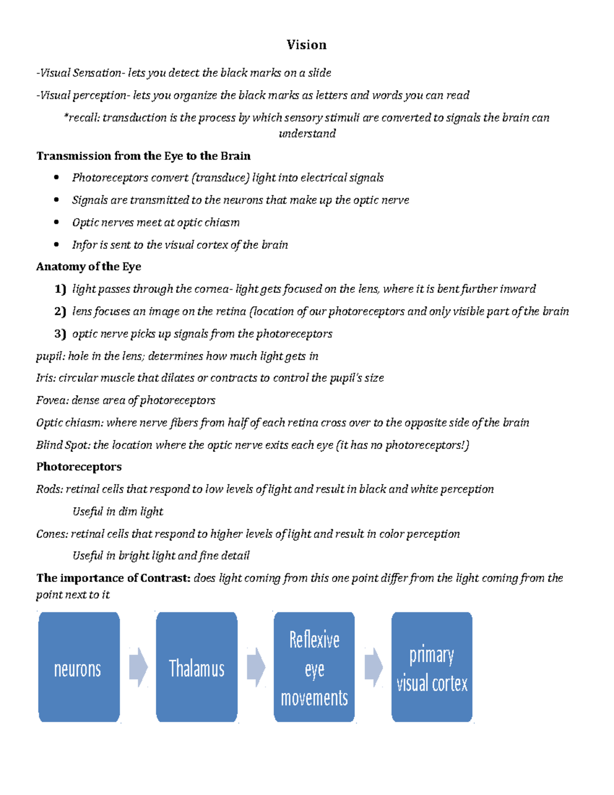 Vision-9-20 - Lecture notes exam 2 materials - Vision -Visual Sensation ...