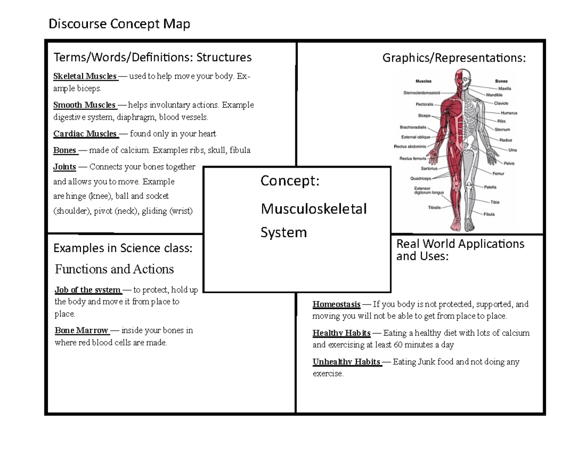 Musculoskeletal System - Concept: Musculoskeletal System Terms/Words ...