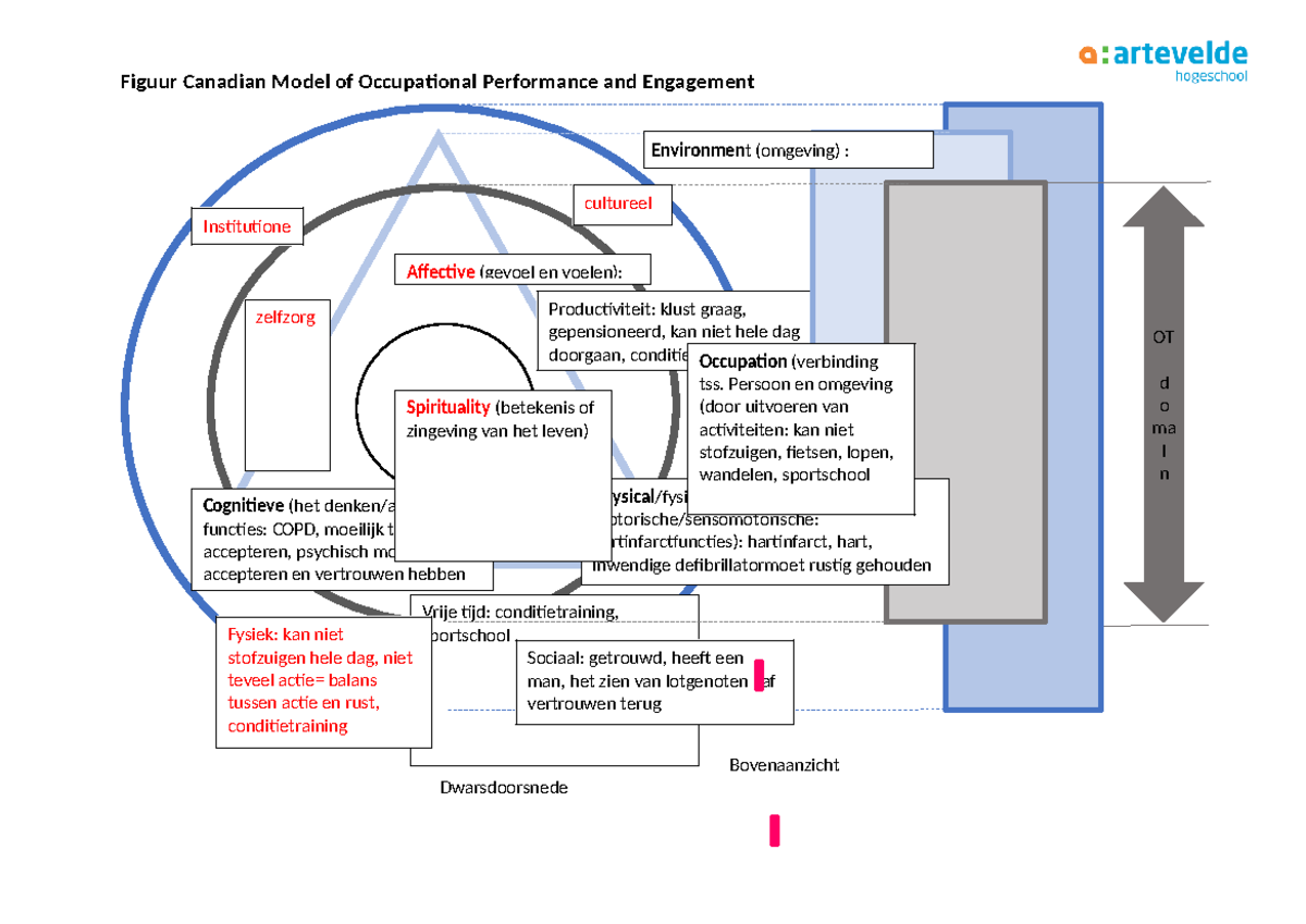 Cmop E Figuur Leeg Leeg Docu Figuur Canadian Model Of Occupational