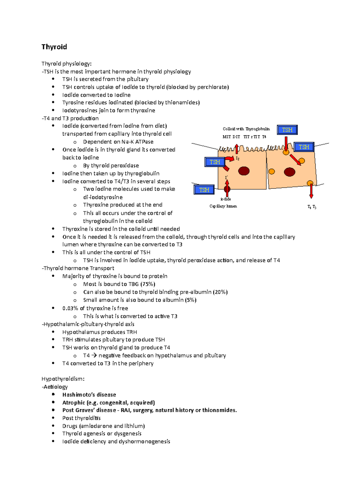Thyroid - Thyroid Thyroid physiology: -TSH is the most important ...