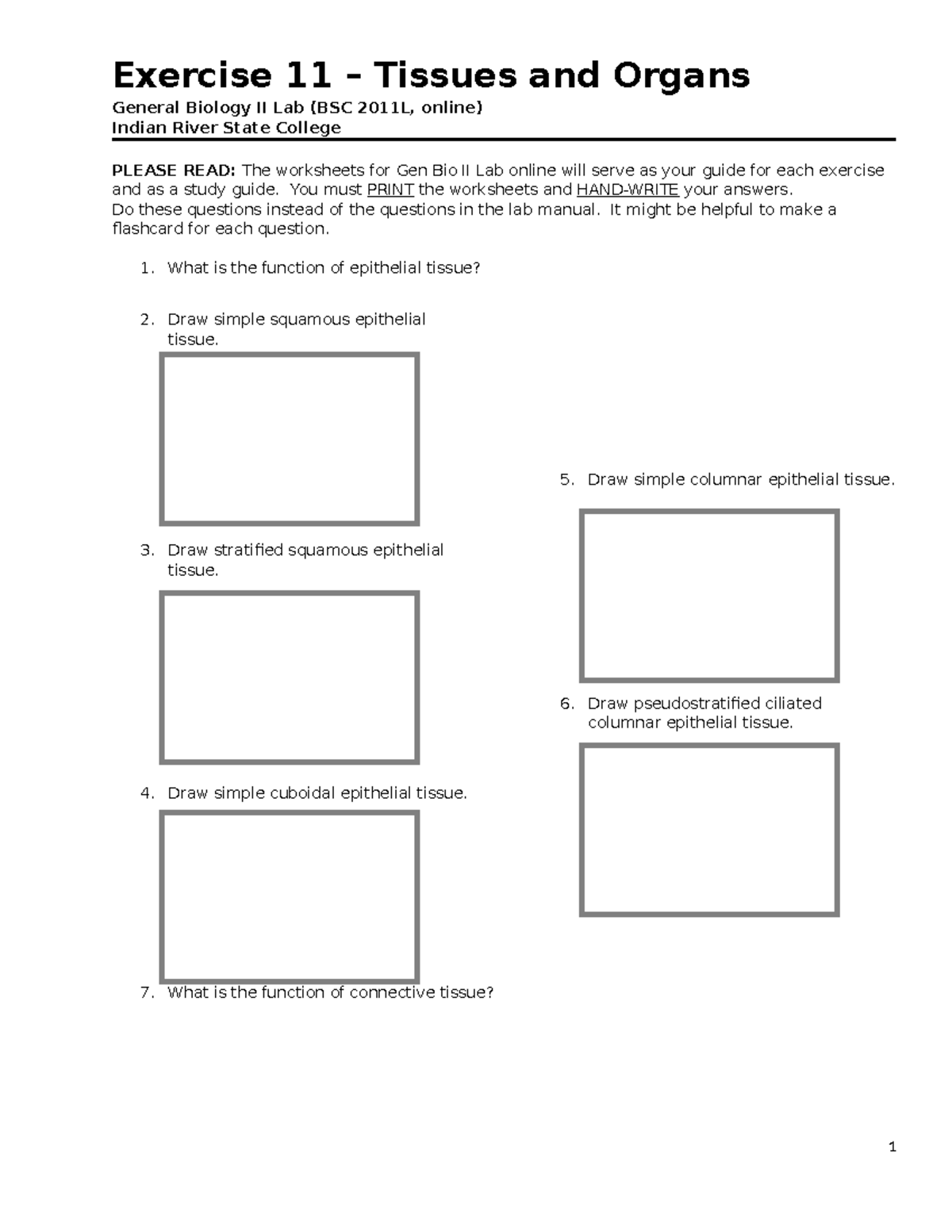 BSC 2011 L Online, Exercise 11, Tissues and Ograns - Exercise 11 ...