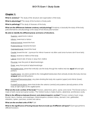 Chapter 9 Study Guide - Chapter 9 Study Guide What are the three types ...