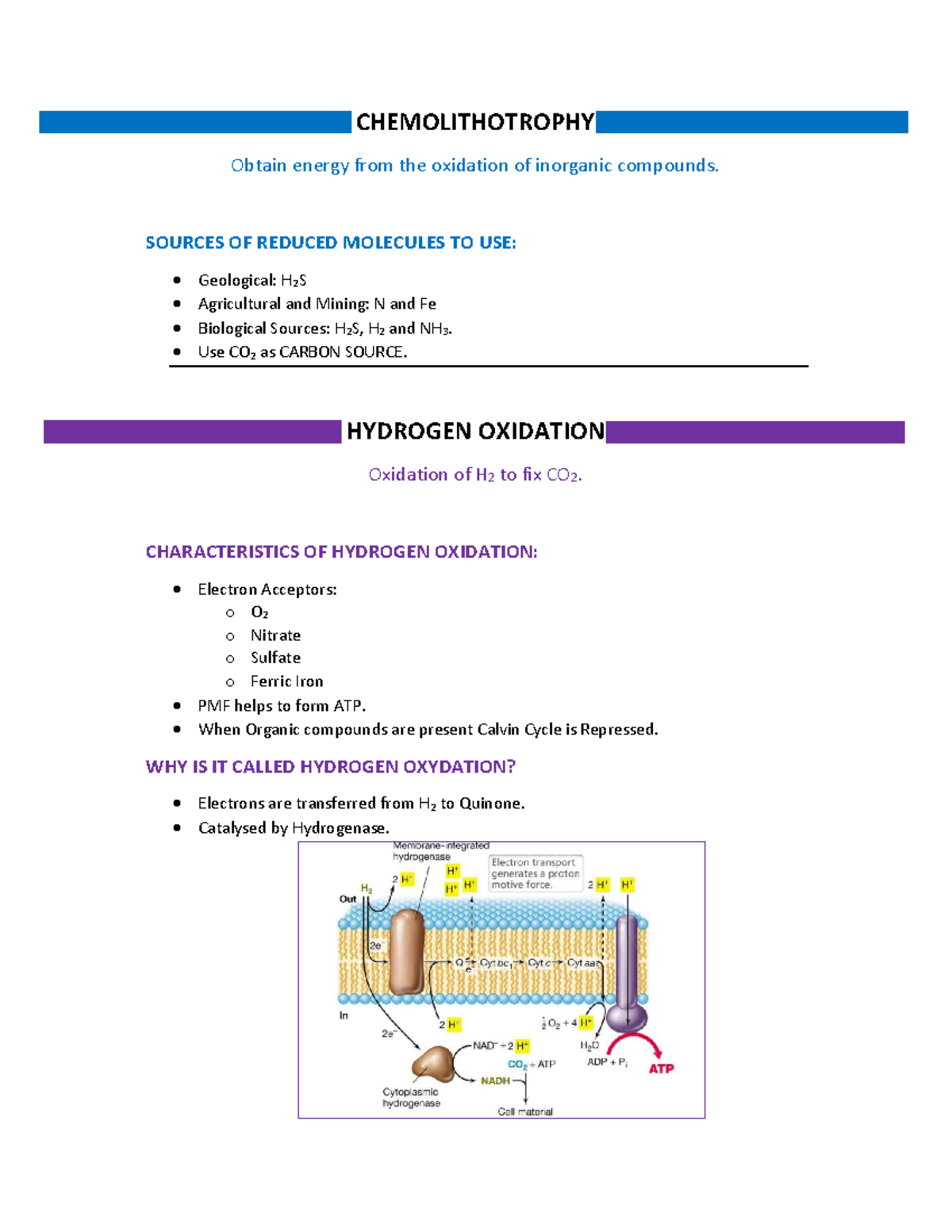 MBY 251 Theme 4 Lecture 8 Summaries - CHEMOLITHOTROPHY Obtain energy ...