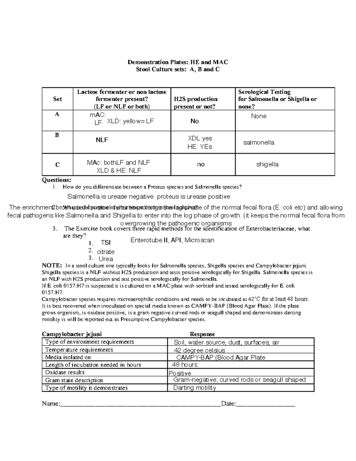 Stool Culture Demonstration Plate Worksheet - Demonstration Plates: HE ...