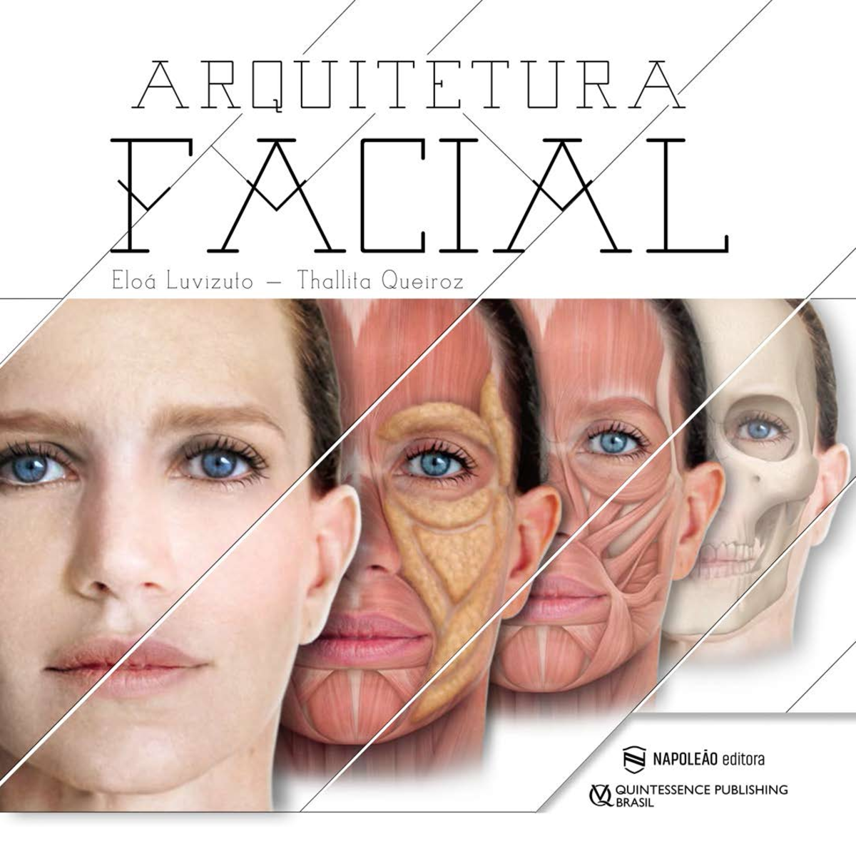 Arquitetura- Facial - Anatomia da Face e Estruturas Anexas 01 Thallita ...